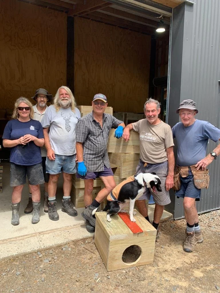 Volunteer — Cape Sanctuary