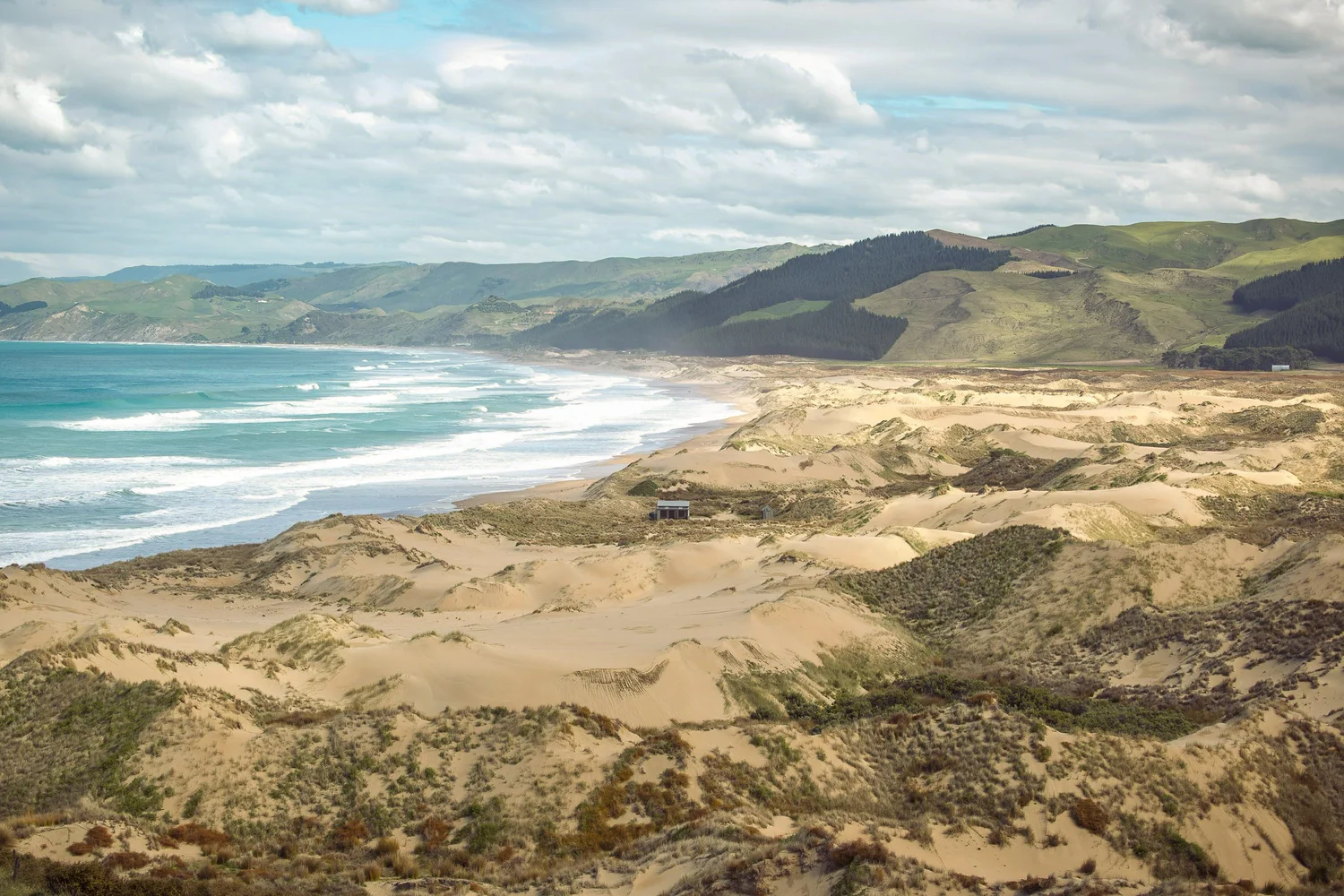 Our Vision — Cape Sanctuary