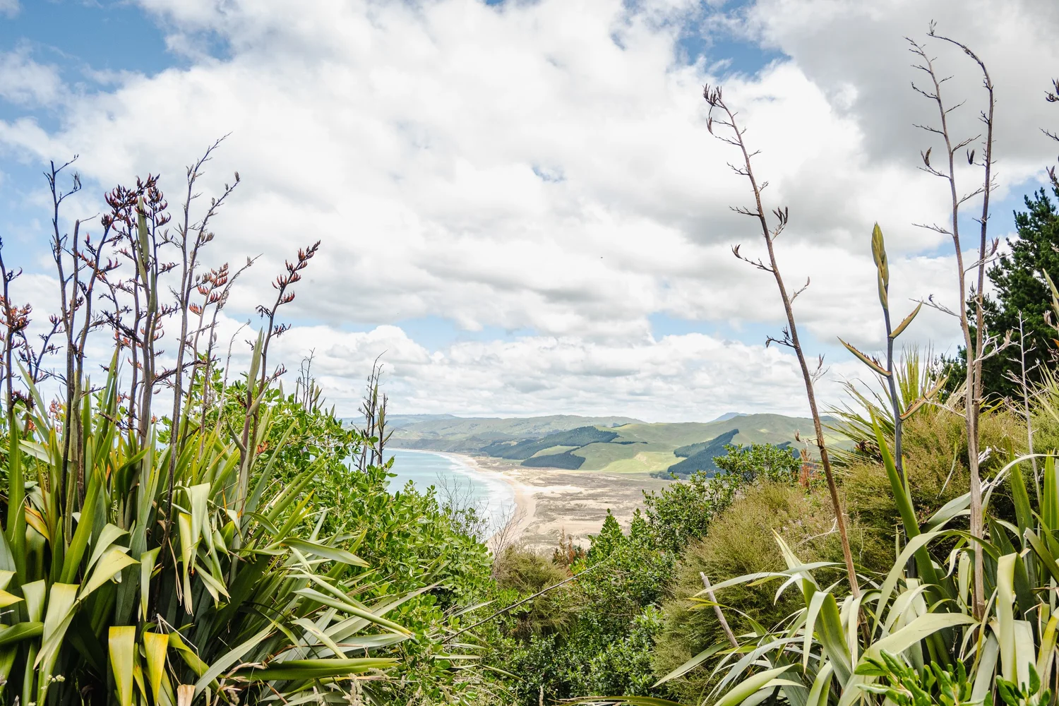 Our Vision — Cape Sanctuary