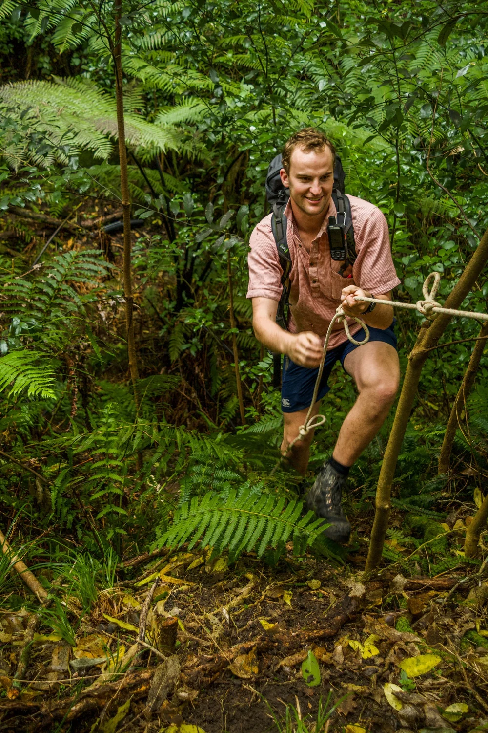 Volunteer — Cape Sanctuary