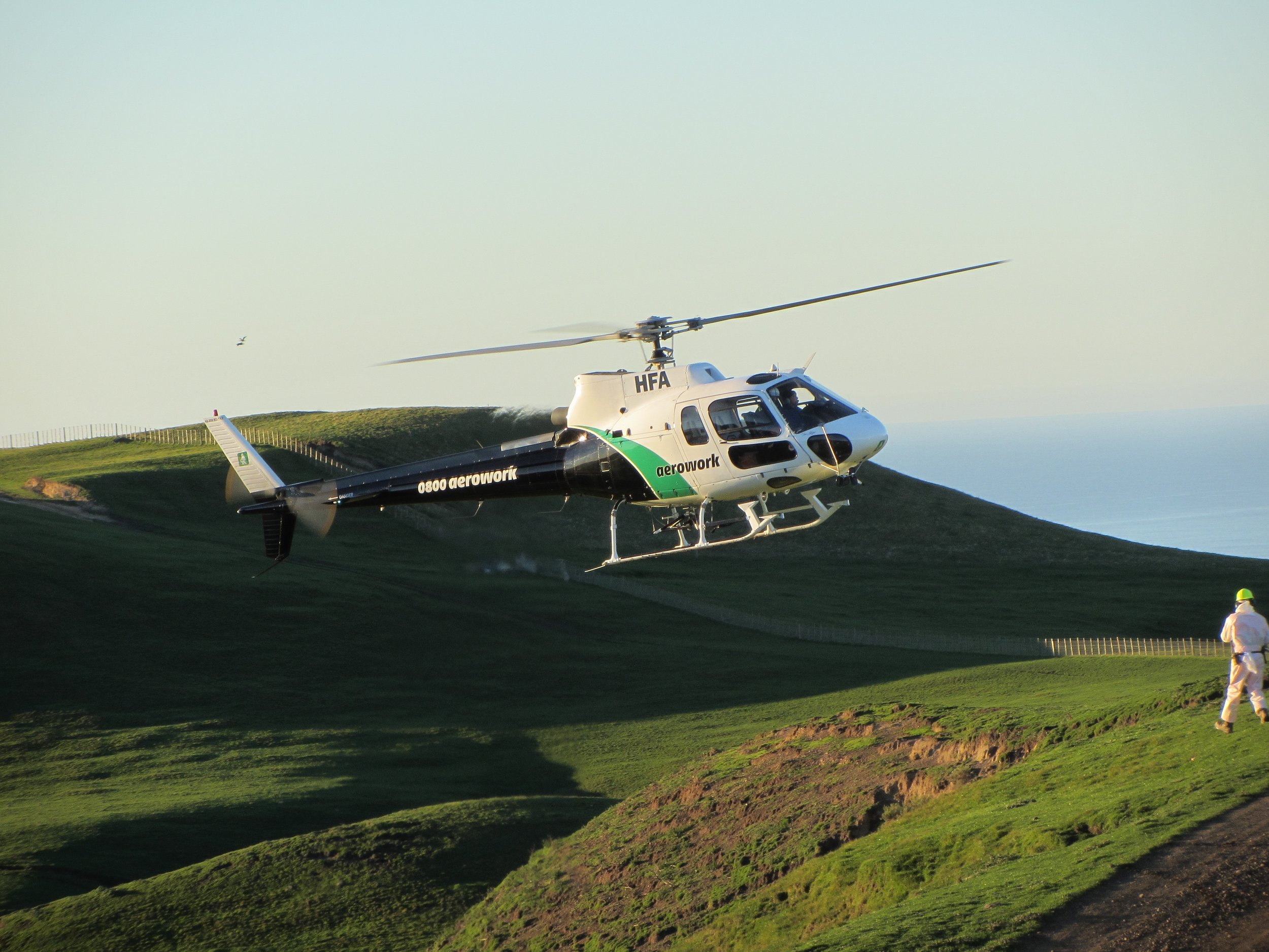 Pest and Predator Control — Cape Sanctuary