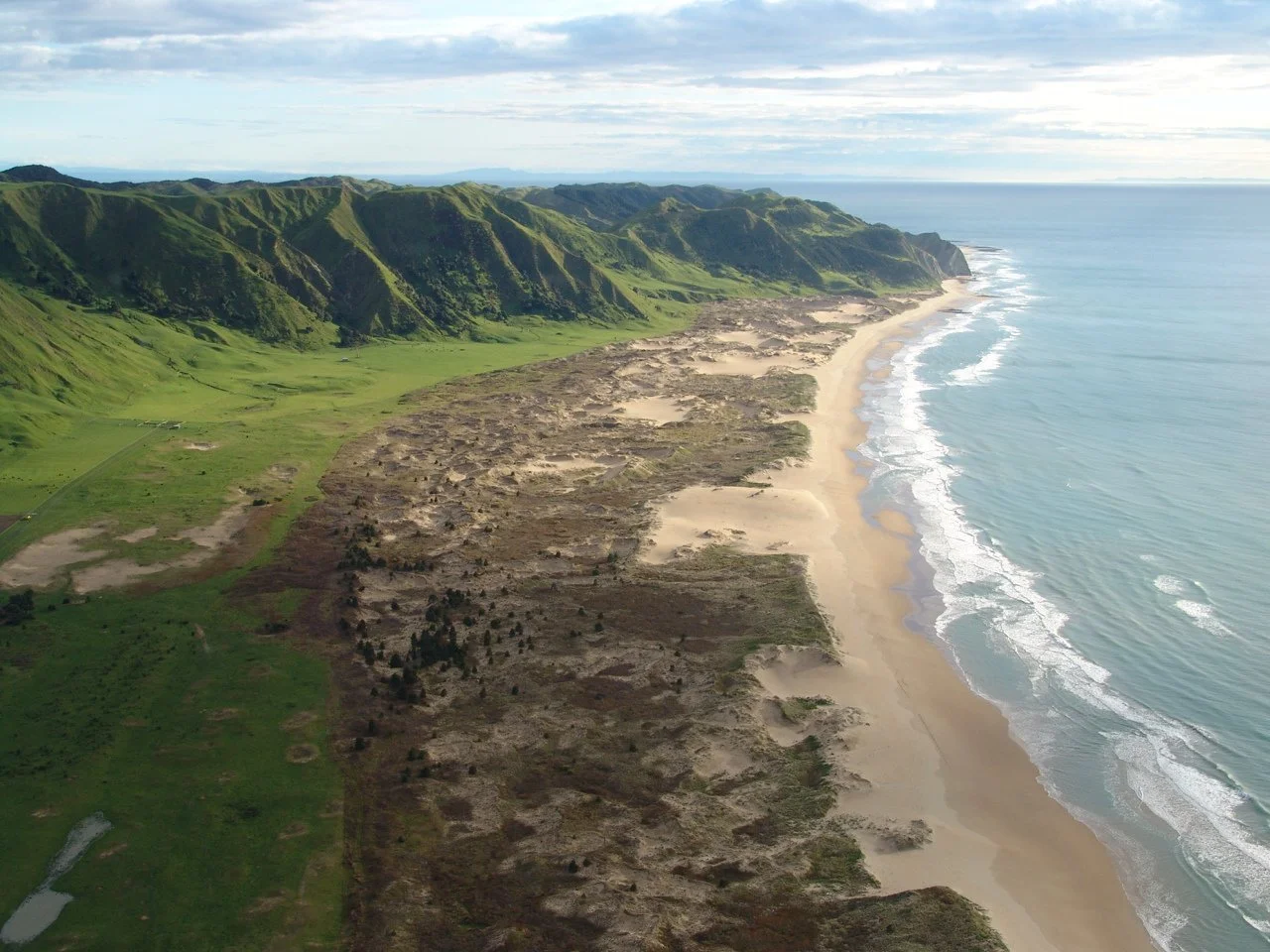 Restoration — Cape Sanctuary