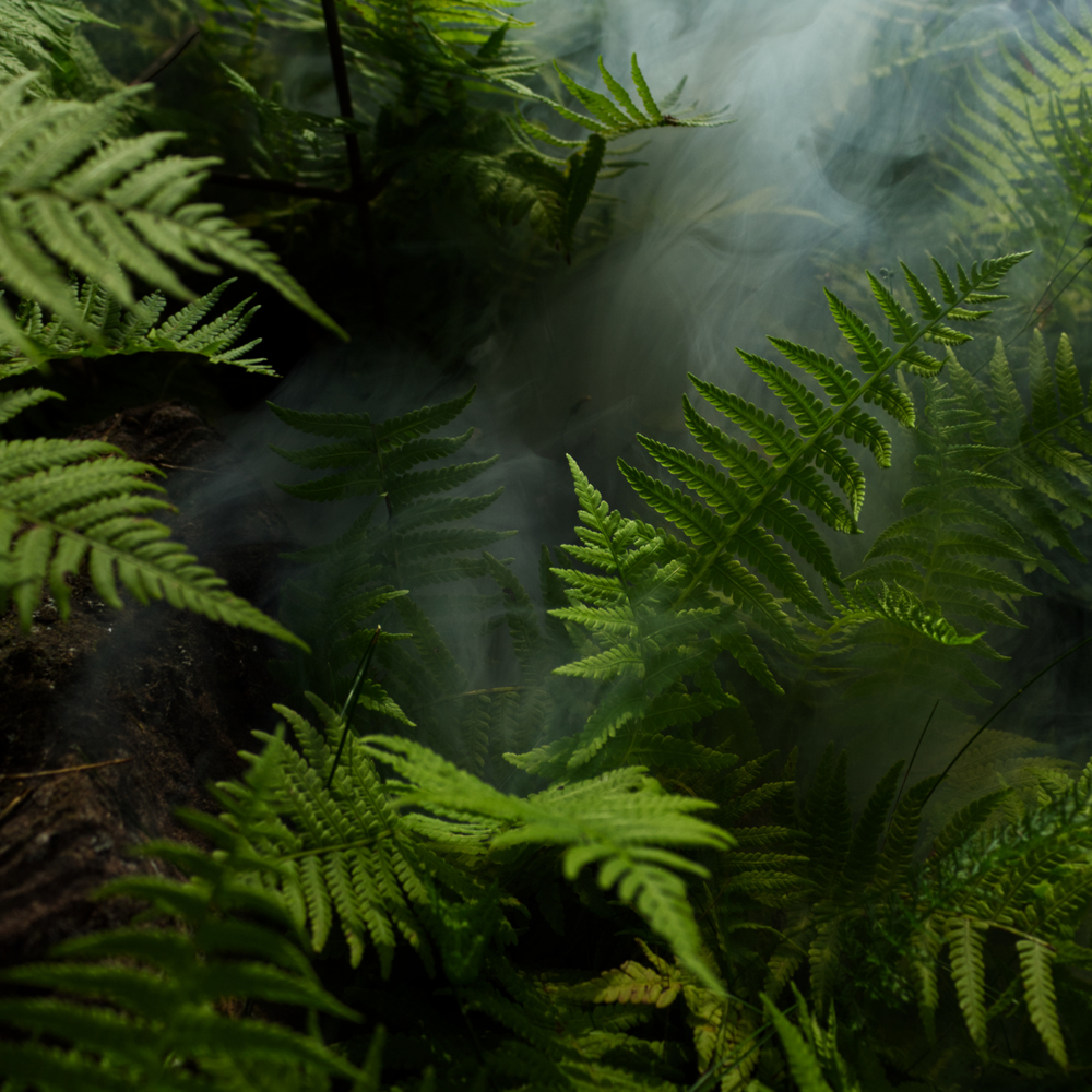 35 Environmental Organizations and Nonprofits For a Sustainable Future ...