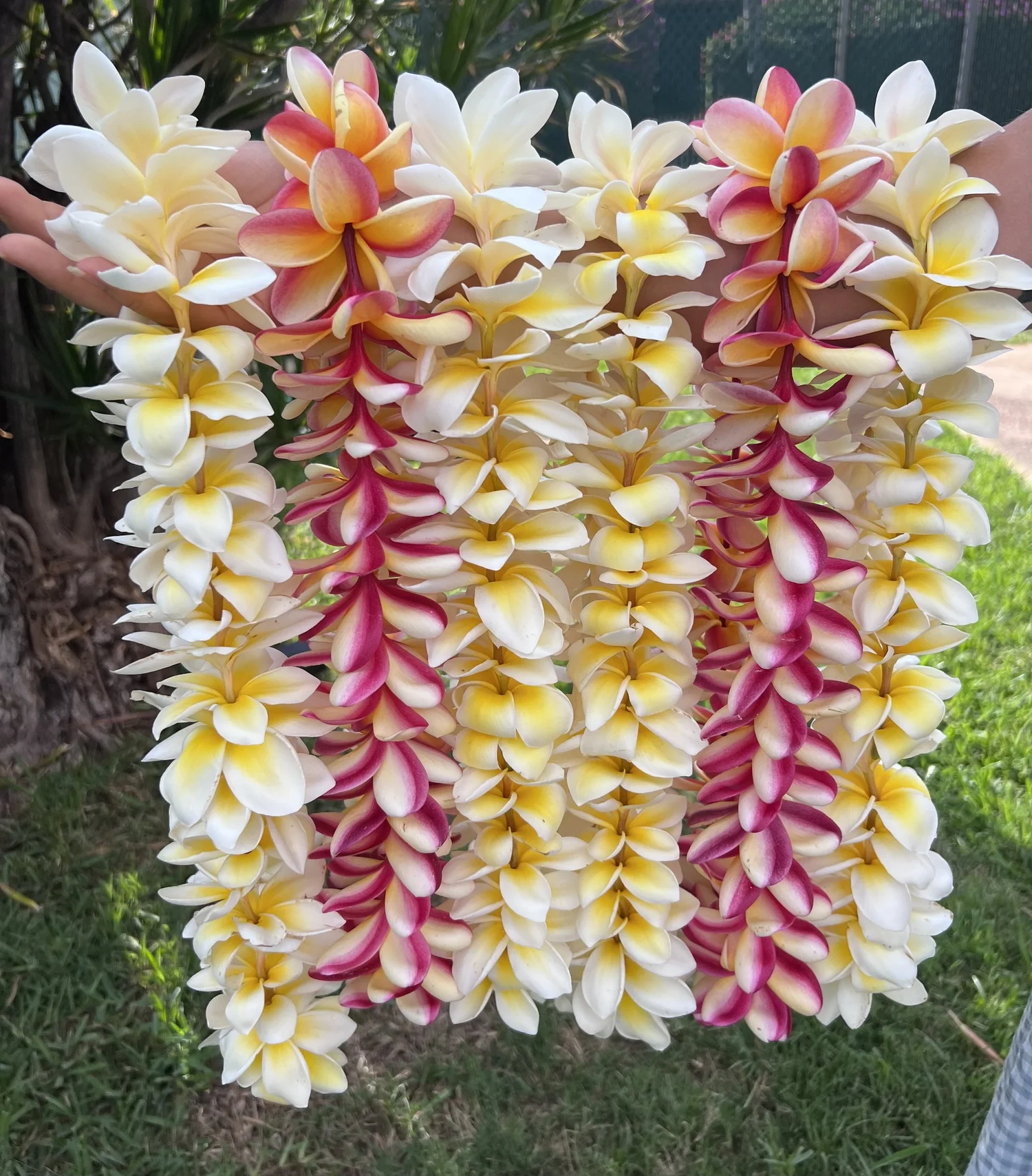 Maui Airport Lei Greetings | Traditional Hawaiian Welcome Service