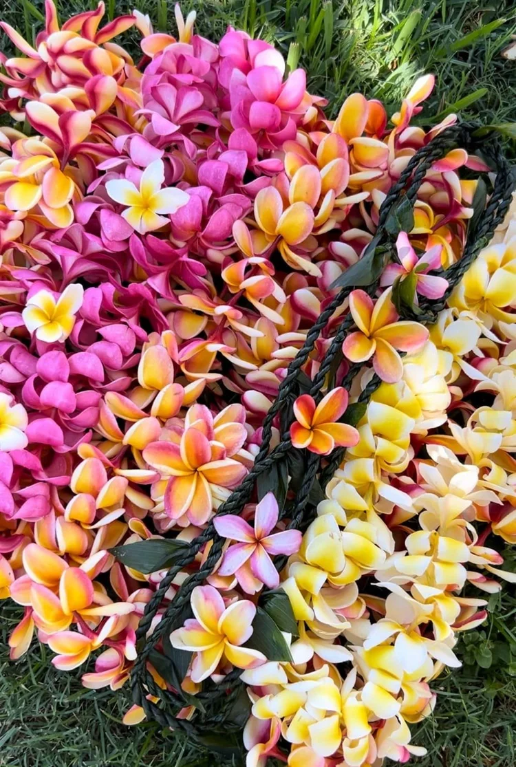 Plumeria Lei Greetings – Airport Lei Greeting in Maui Hawaii