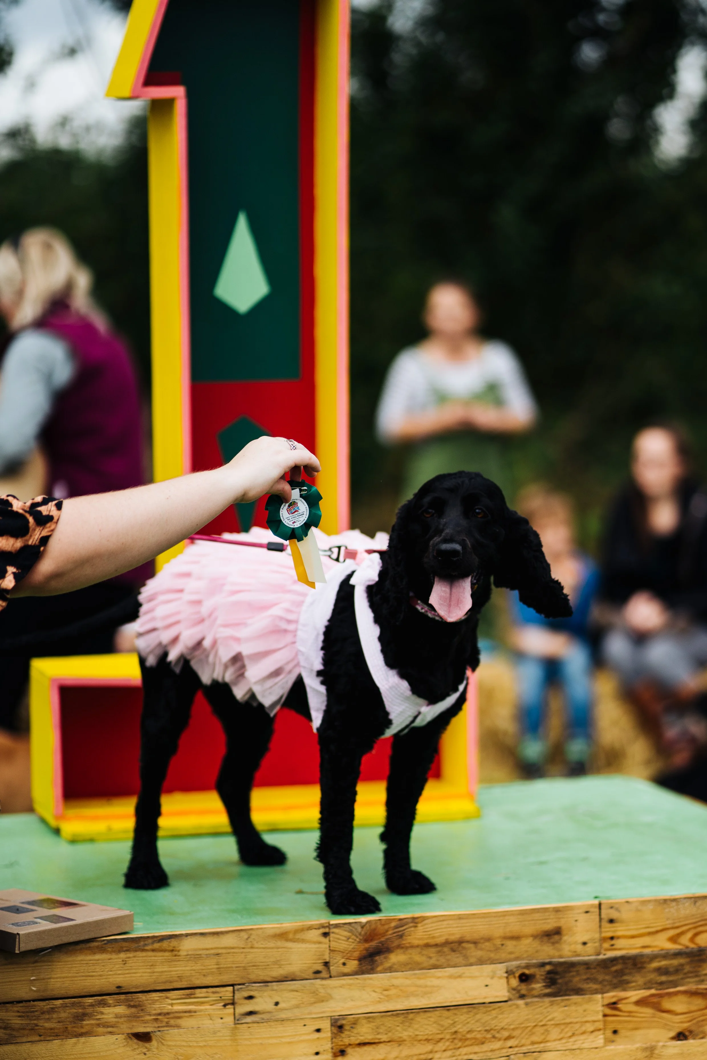 The Great Easter Show 2025 on Hawarden Estate — Hawarden Estate