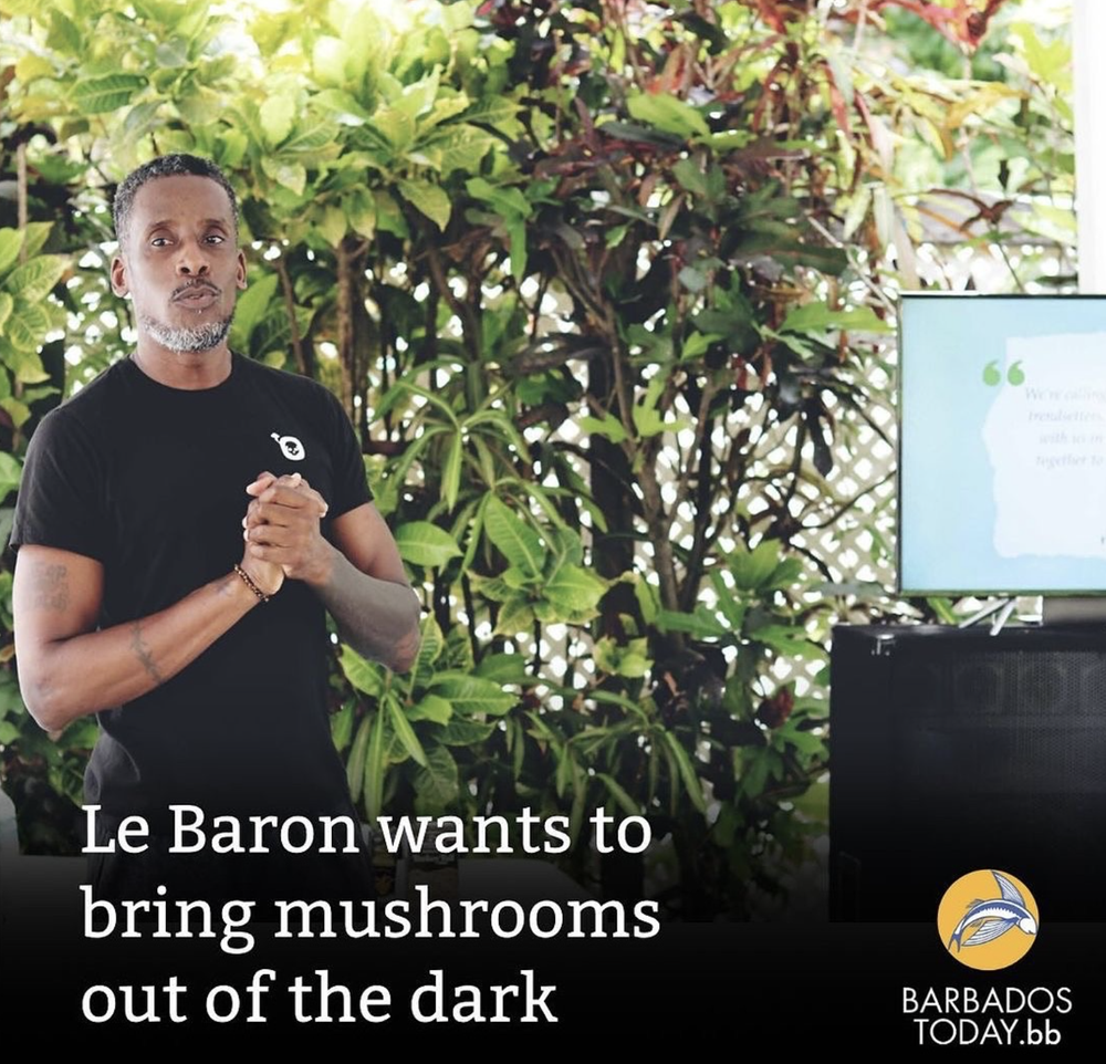 Darren Le Baron
