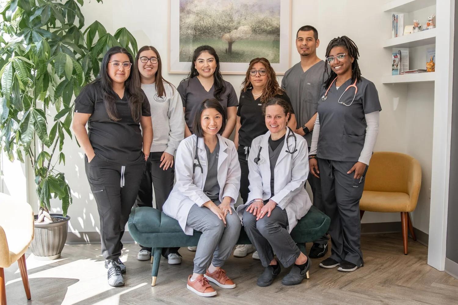 Meet The Team | Kindred Veterinary | Chicago, IL — Kindred Veterinary