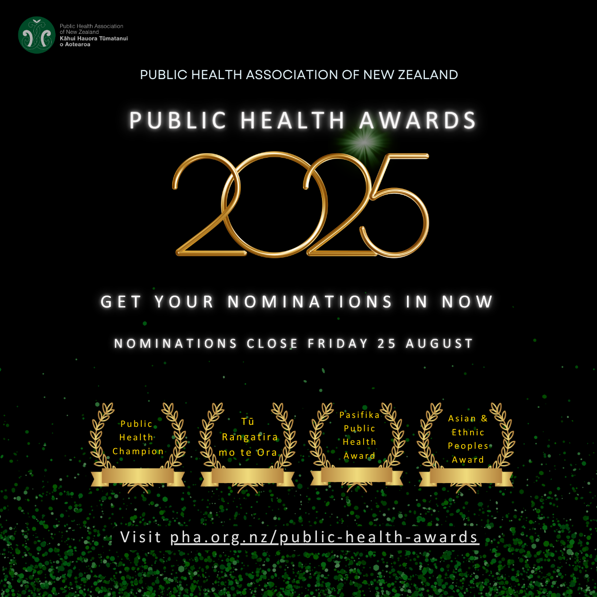 🌟 NOMINATIONS ARE NOW OPEN - 2025 PUBLIC HEALTH AWARDS — Public Health ...