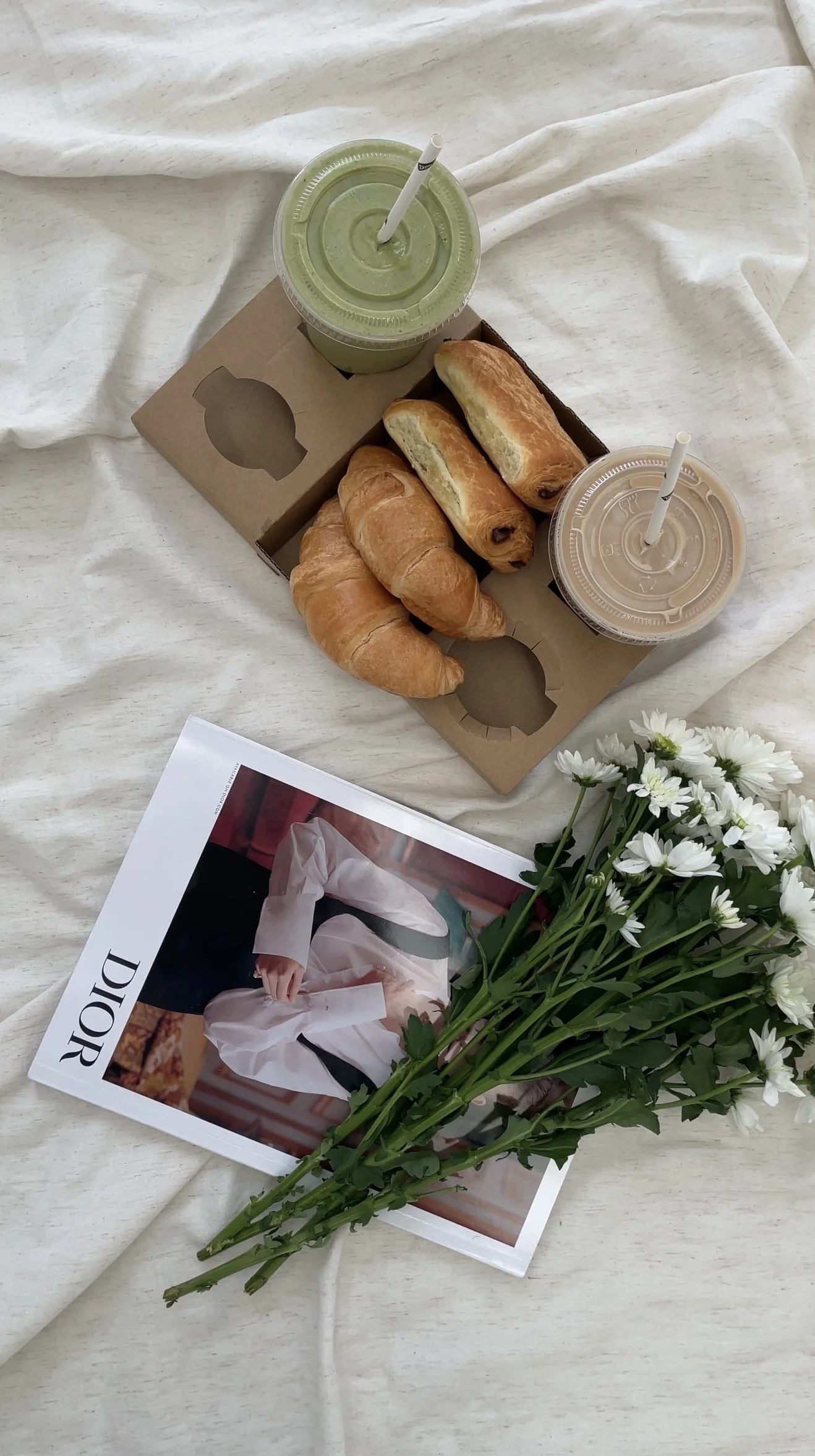 The Content Cove - Aesthetic Lifestyle Videos for Your Social Media