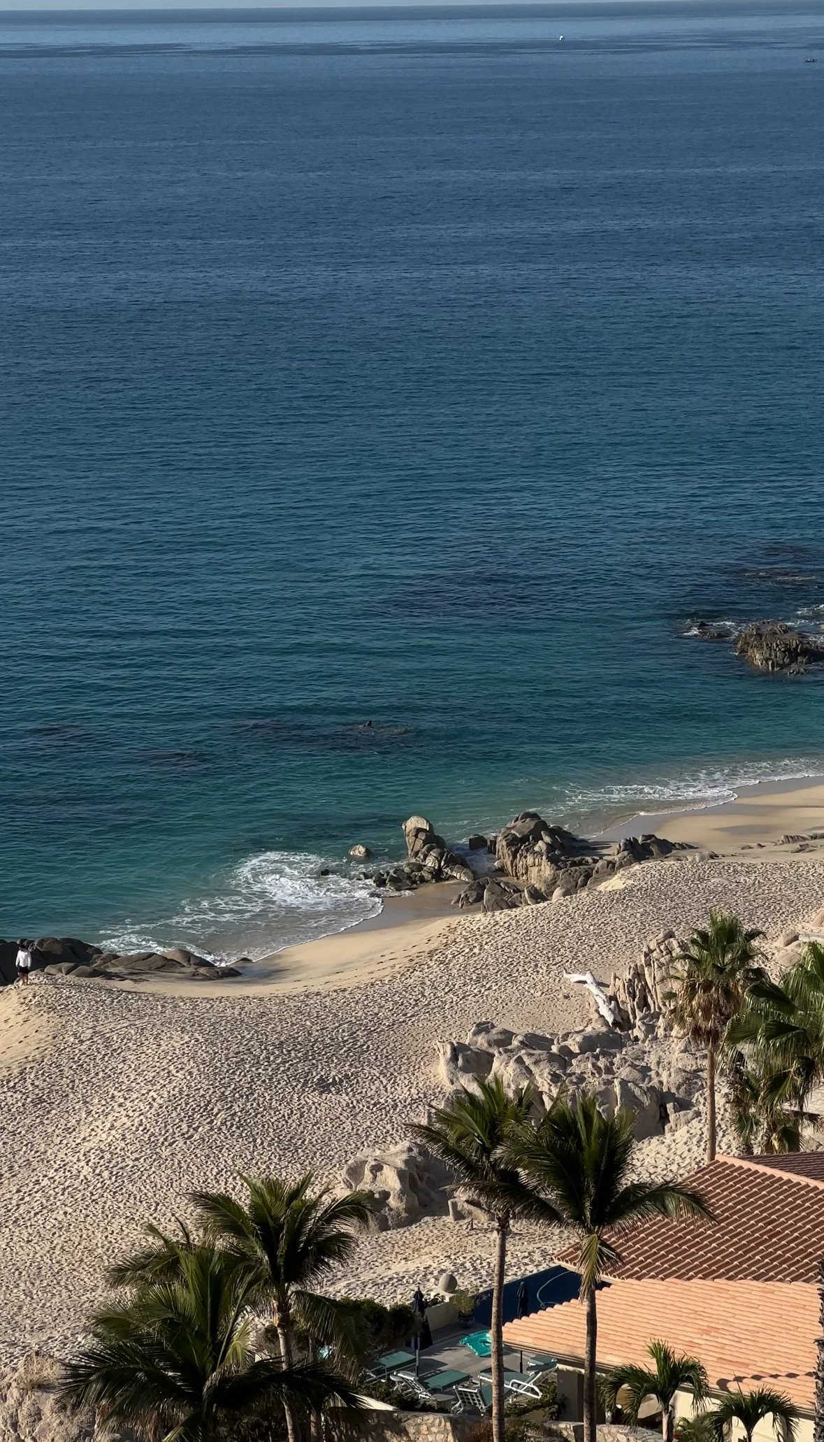 The Content Cove - Aesthetic Lifestyle Videos for Your Social Media