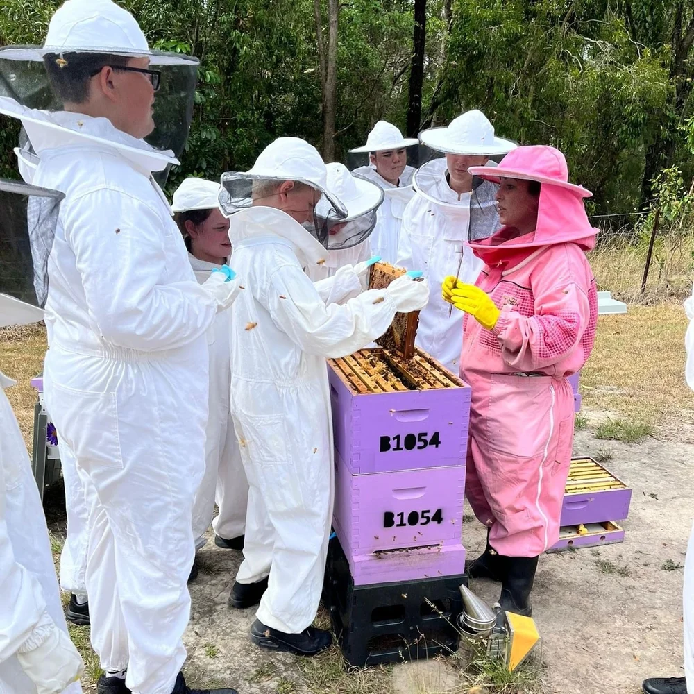 Bees In Schools Programs — Urban Bee Education