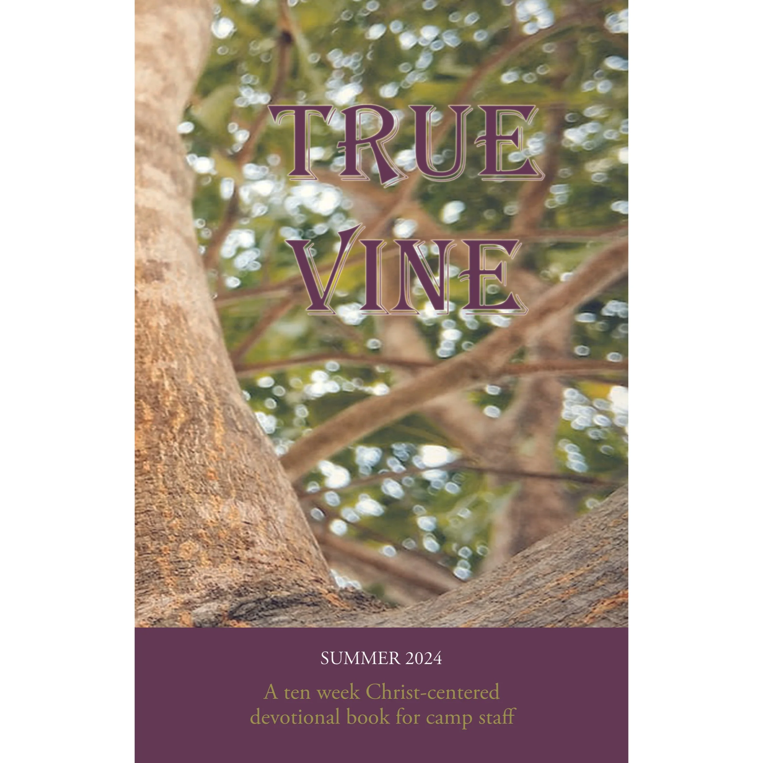 LIVING STONE Staff Devotional Book — Character Building Ministries