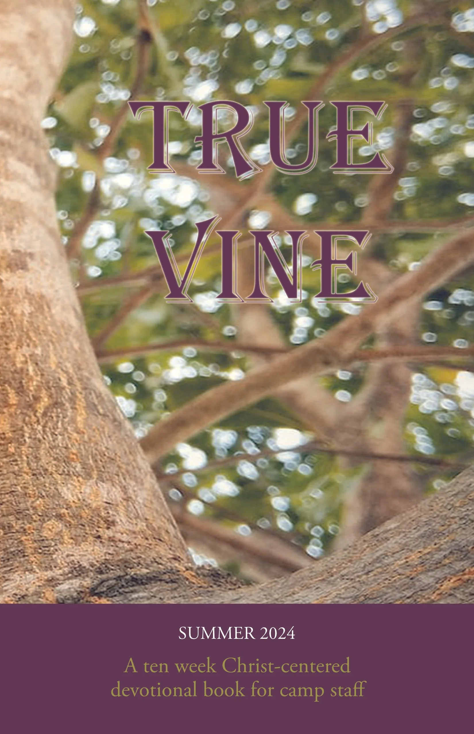 Camp staff devotional books — Character Building Ministries