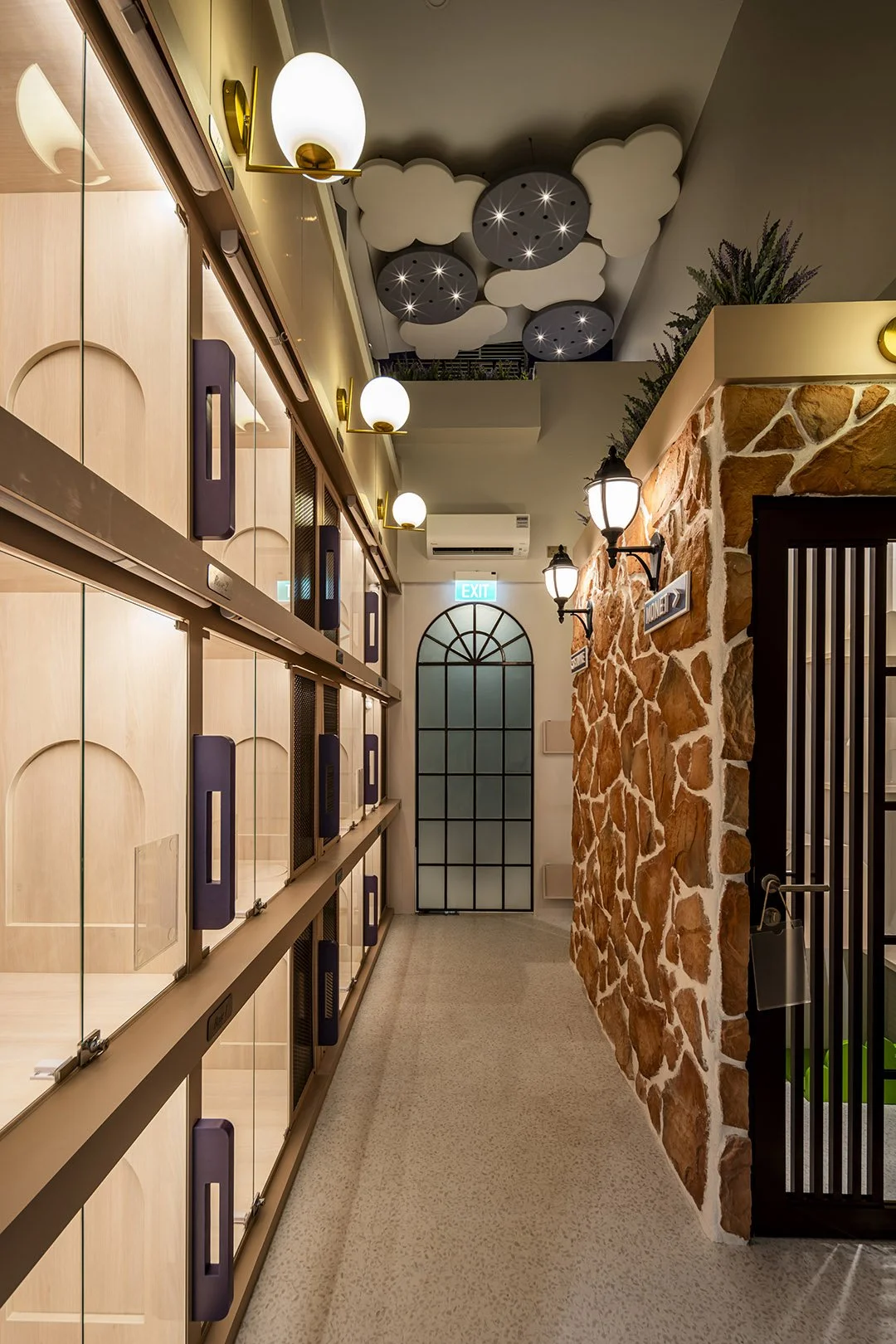 Fear Free Certified Cat Boarding Singapore | Catnap