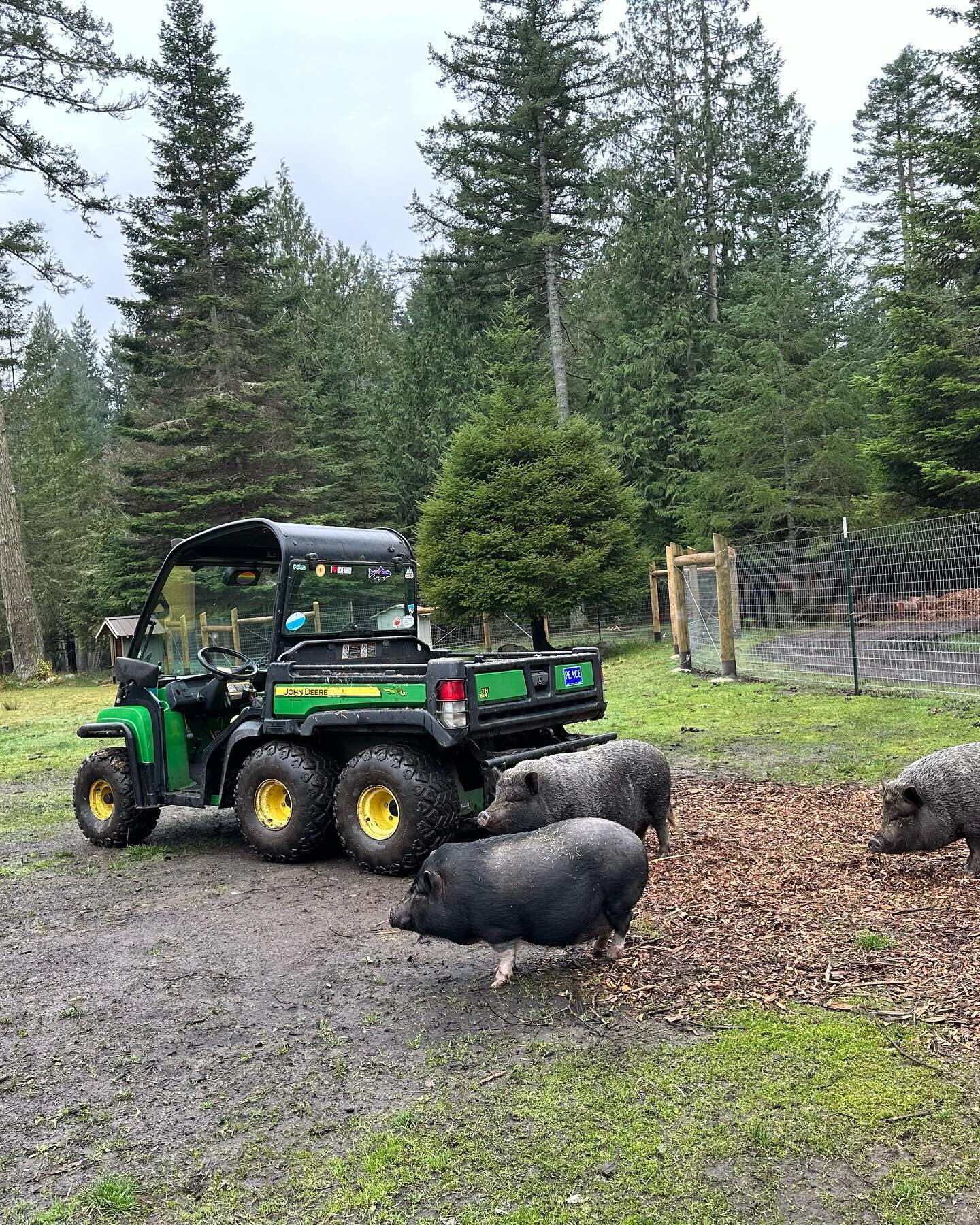 Heaven on Earth Animal Sanctuary Facility — Heaven on Earth :: Animal ...