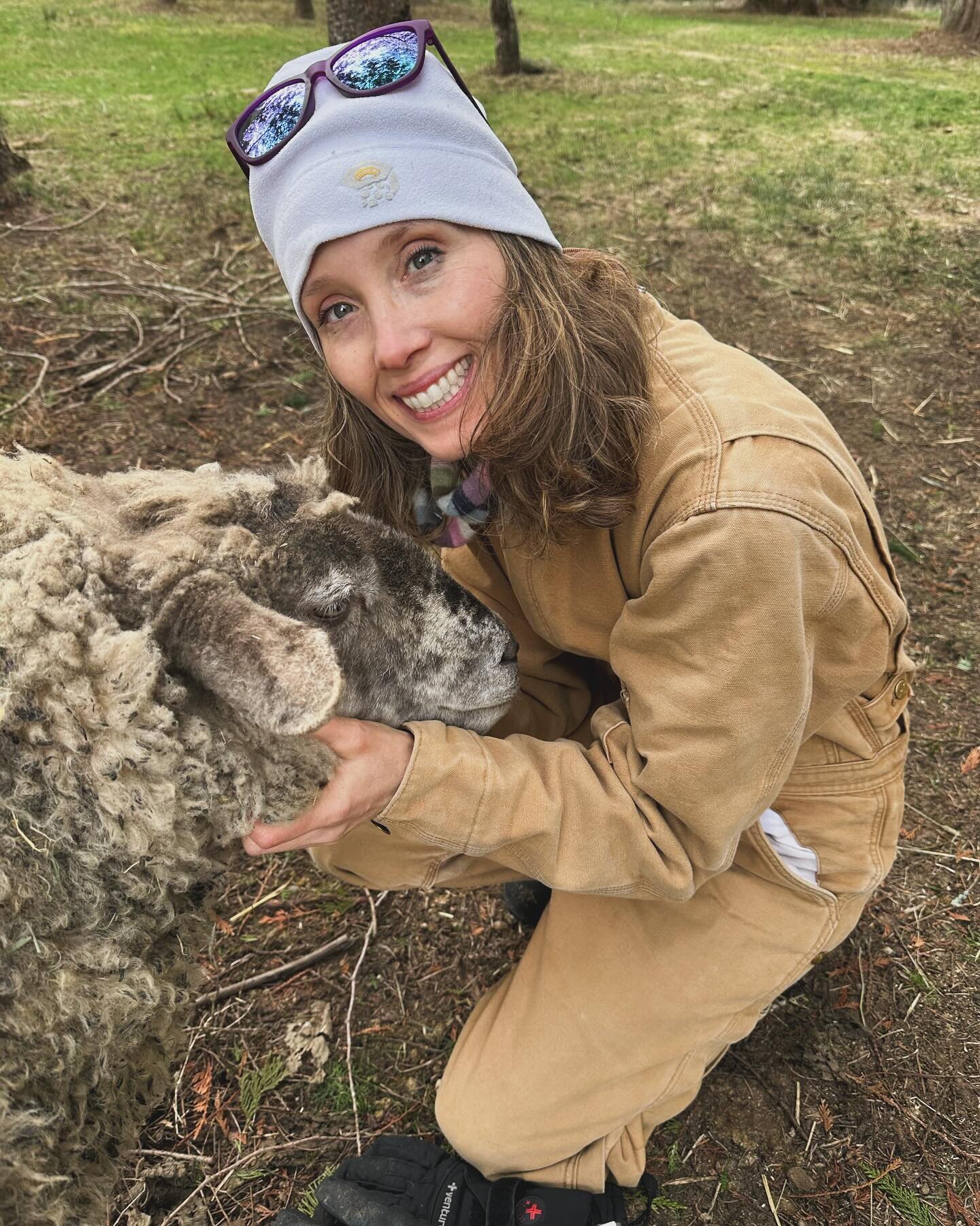 Heaven on Earth Animal Sanctuary Support — Heaven on Earth :: Animal ...