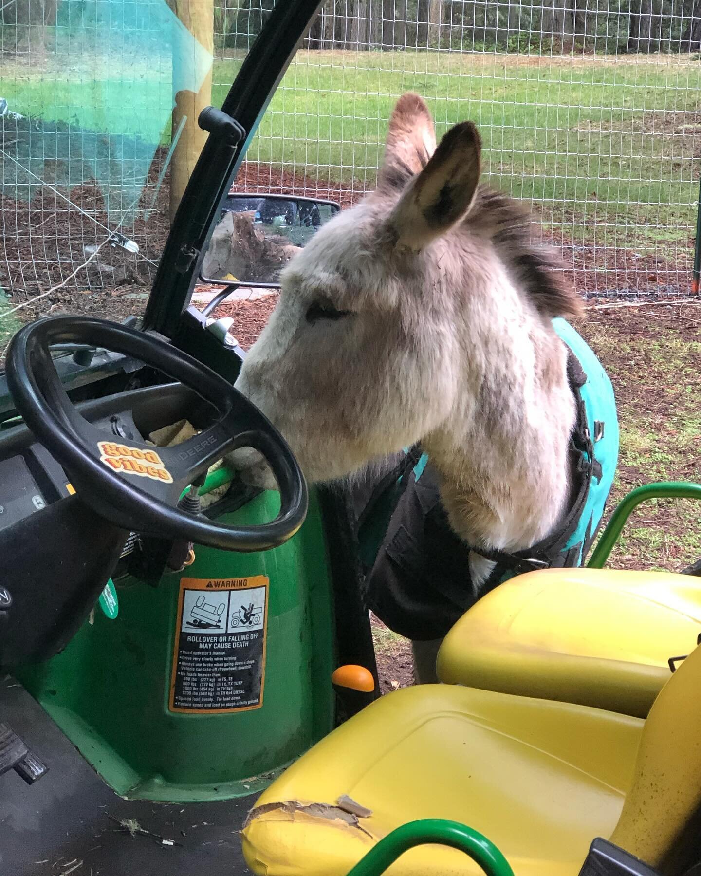 Heaven on Earth Animal Sanctuary Support — Heaven on Earth :: Animal ...