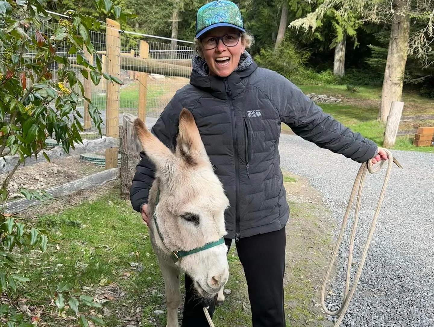 Heaven on Earth Animal Sanctuary Support — Heaven on Earth :: Animal ...