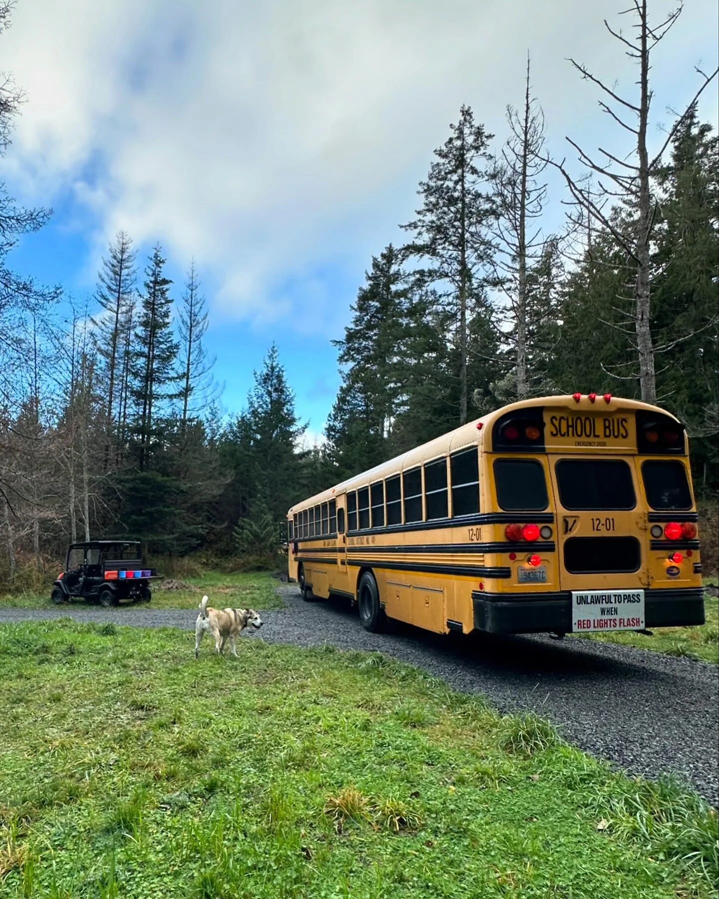 Heaven on Earth Animal Sanctuary Residents — Heaven on Earth :: Animal ...