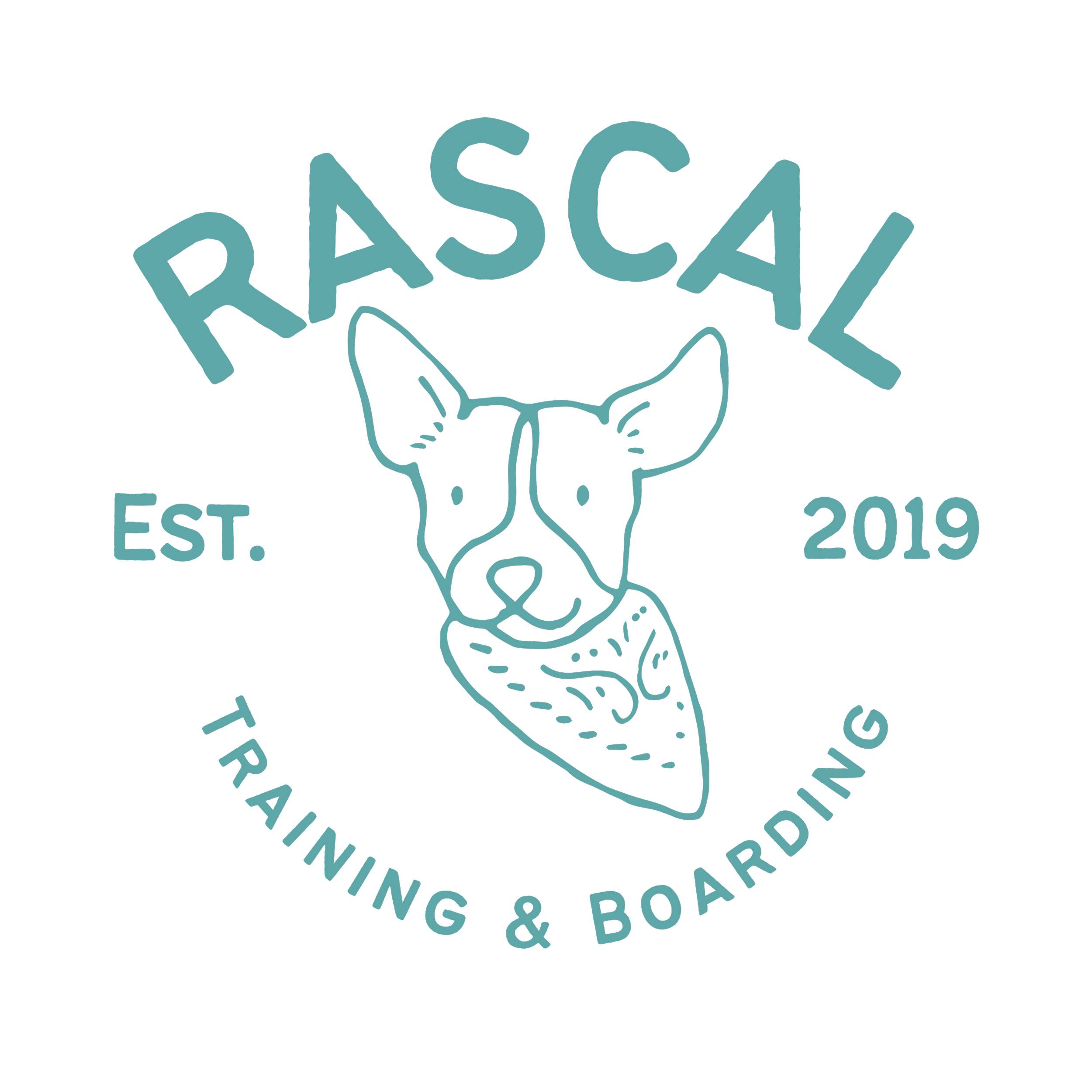 Common Pitfalls Made When Muzzle Conditioning — rascaltraining