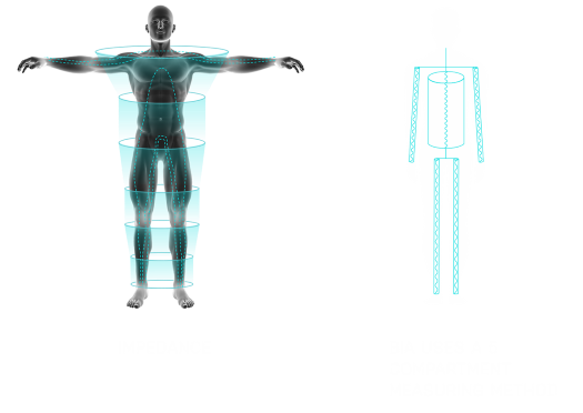 Body Scans — BODY BY SCIENCE
