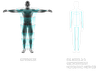 Body Scans — BODY BY SCIENCE