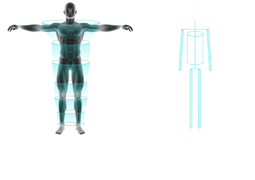 Body Scans — BODY BY SCIENCE
