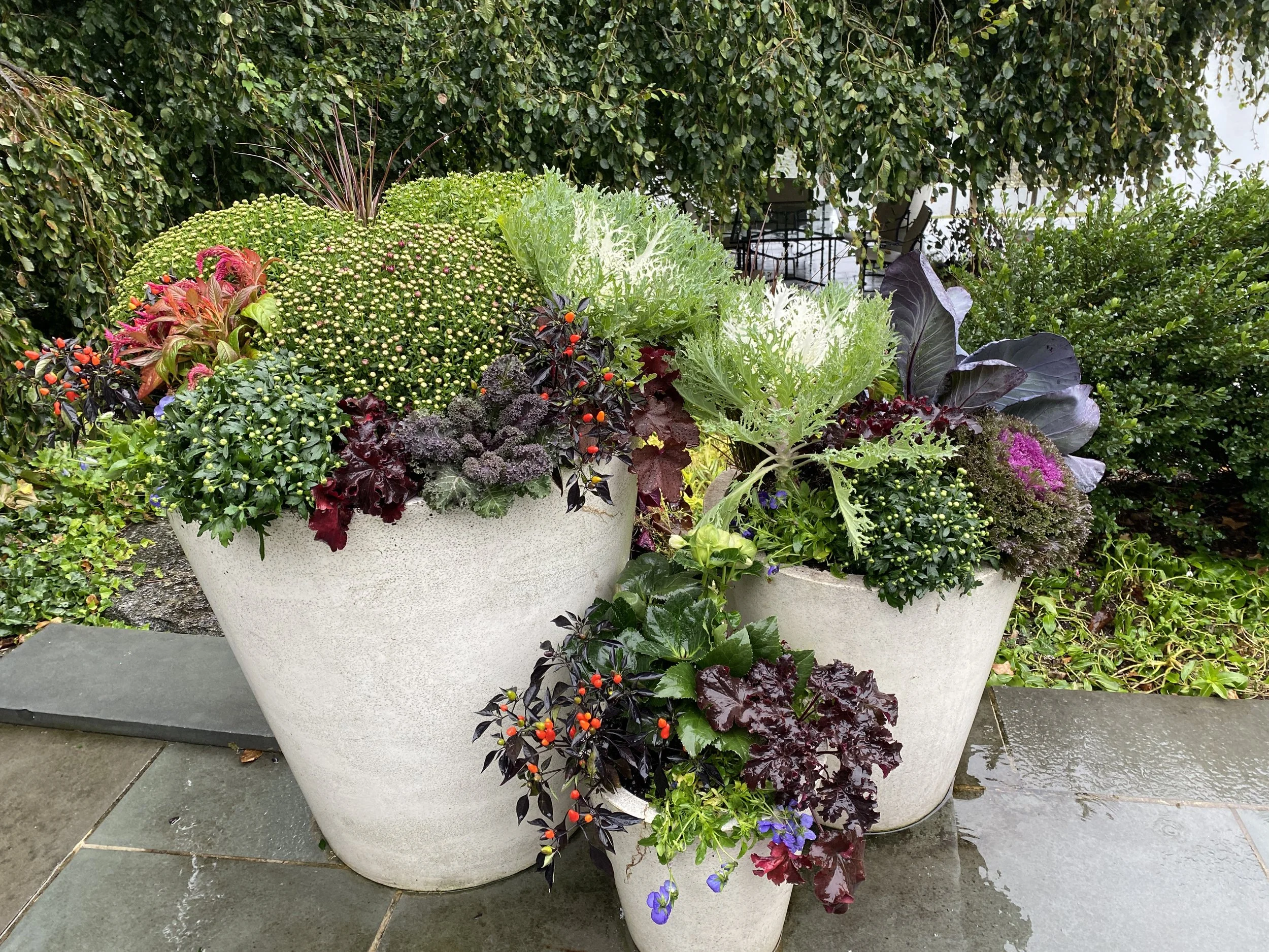 MELISSA WOOD LANDSCAPE ARCHITECT