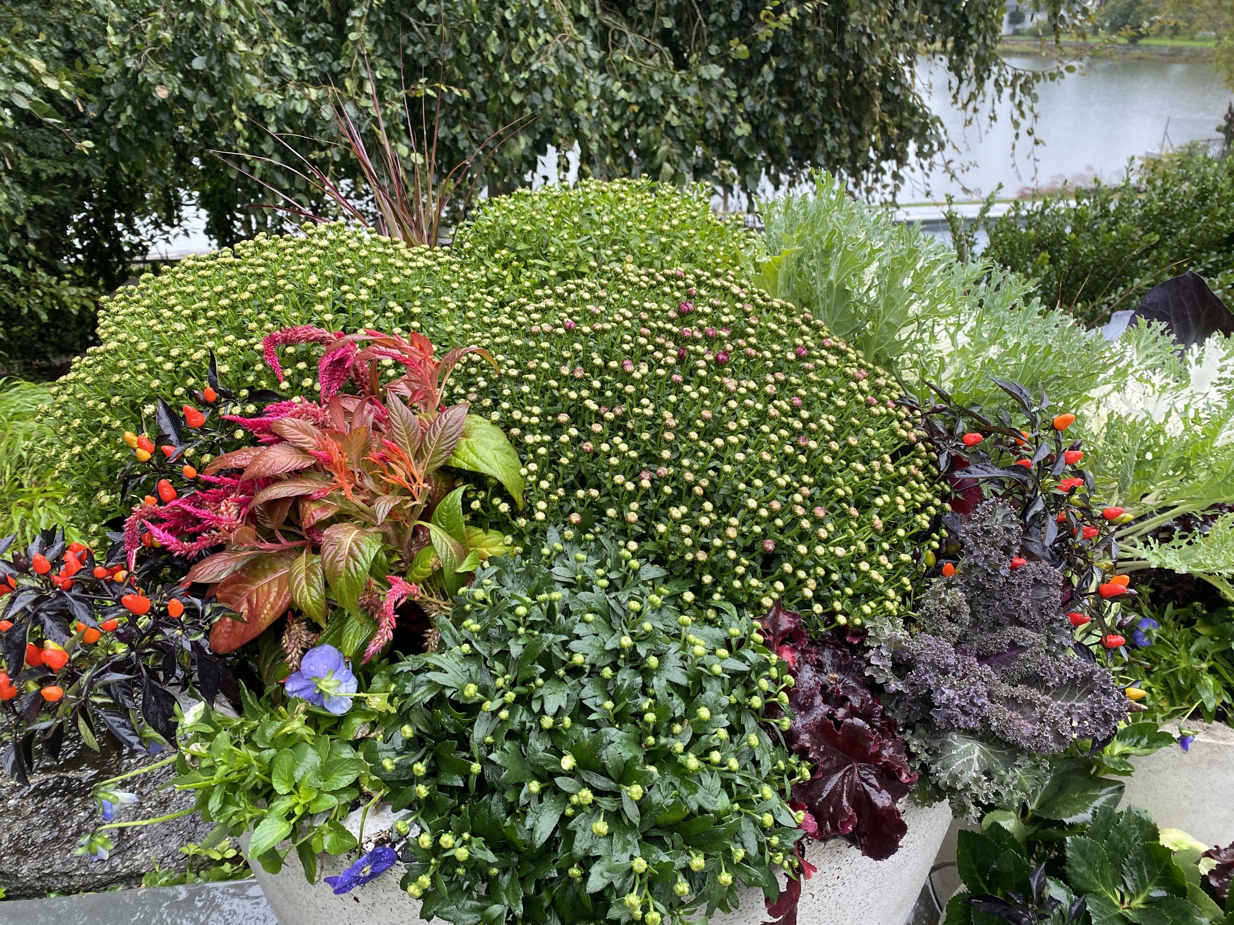 MELISSA WOOD LANDSCAPE ARCHITECT