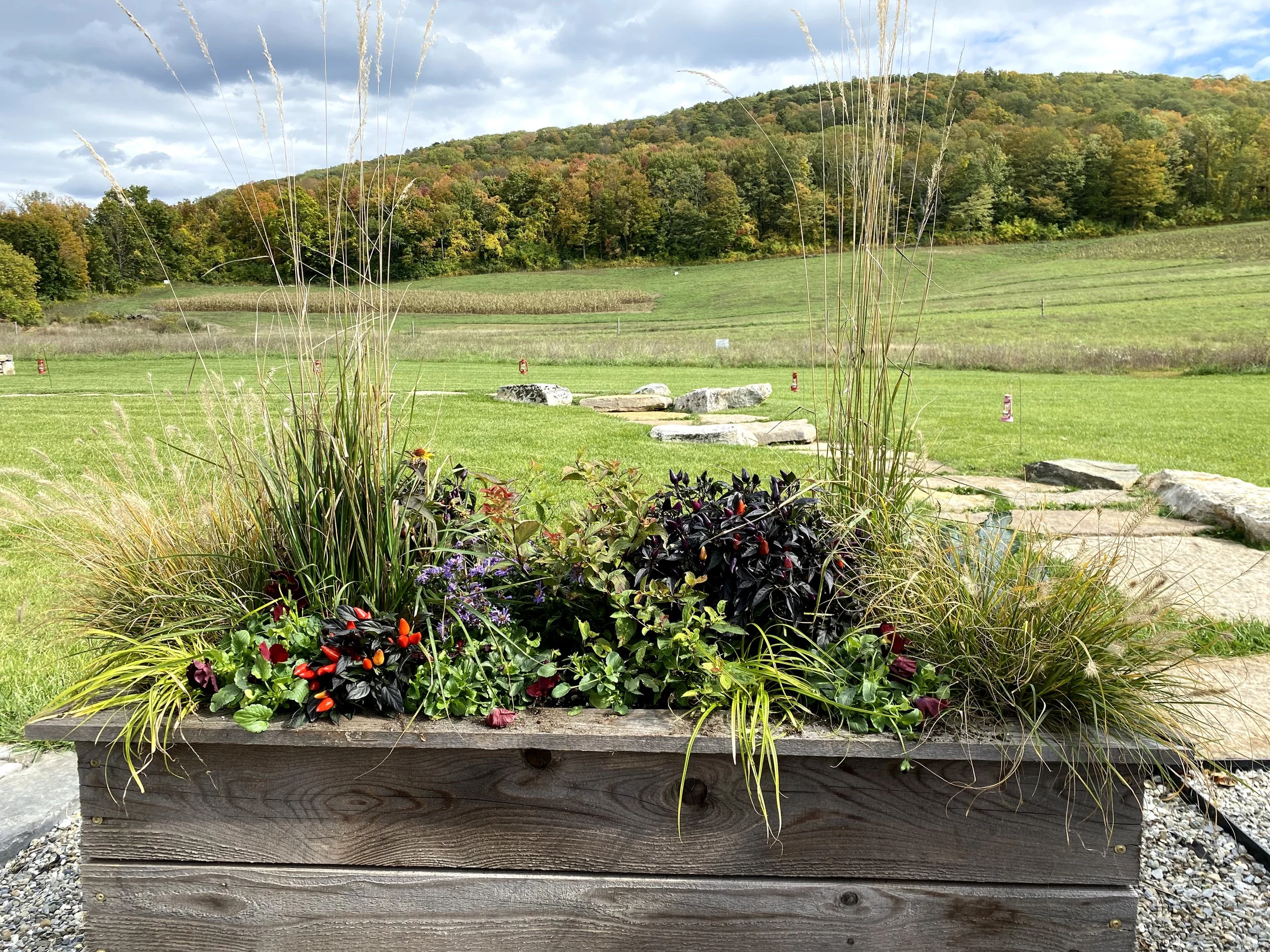 MELISSA WOOD LANDSCAPE ARCHITECT