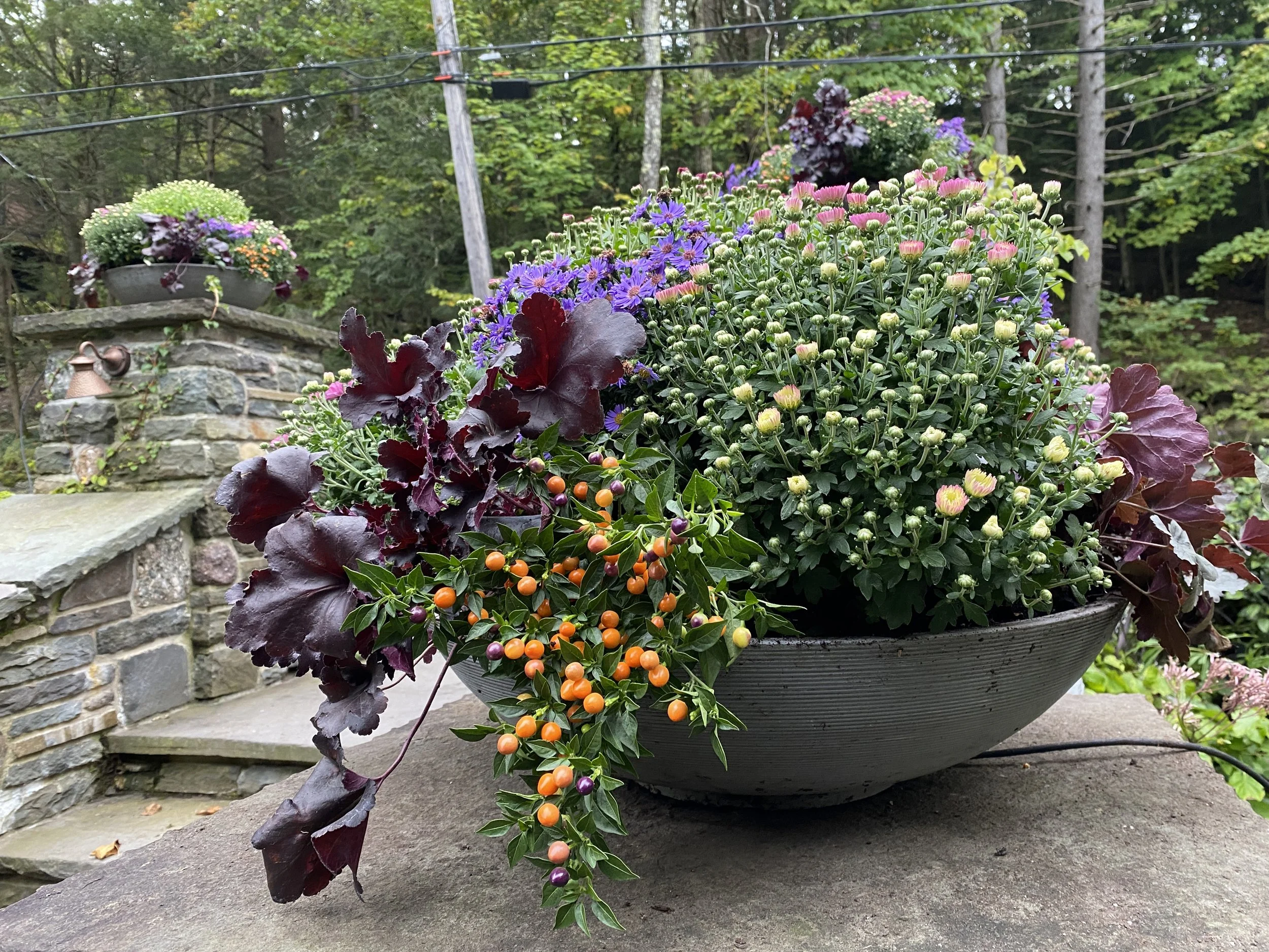 MELISSA WOOD LANDSCAPE ARCHITECT