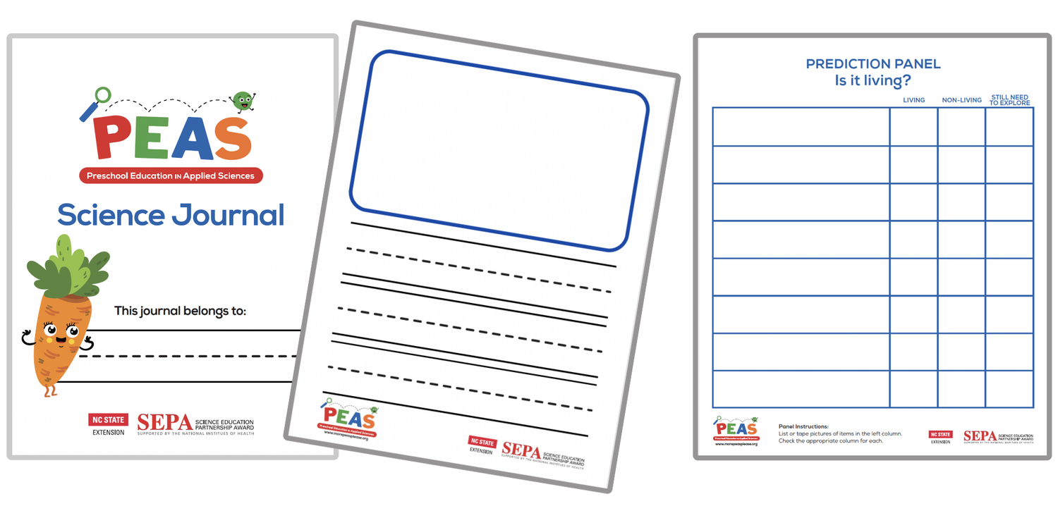 Learning Activities — More PEAS Please!