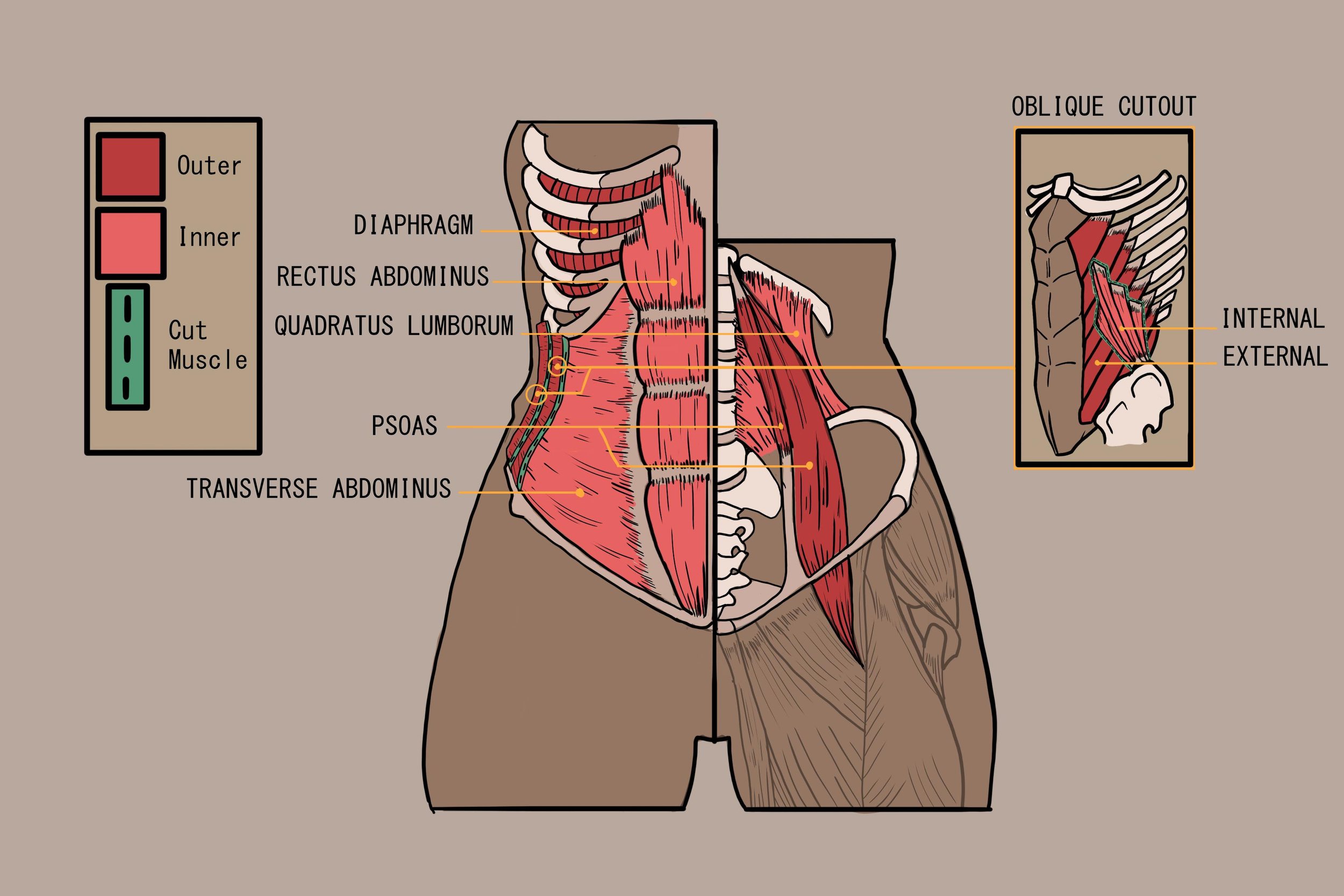 Rolling for low back release — Alana Rigby