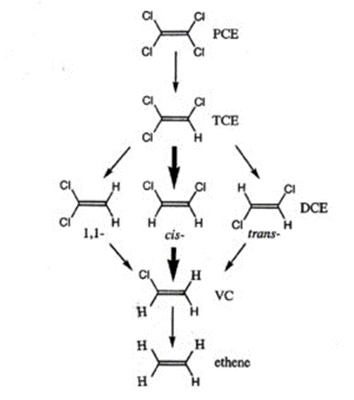 General 4 — PEDRO RESOURCES