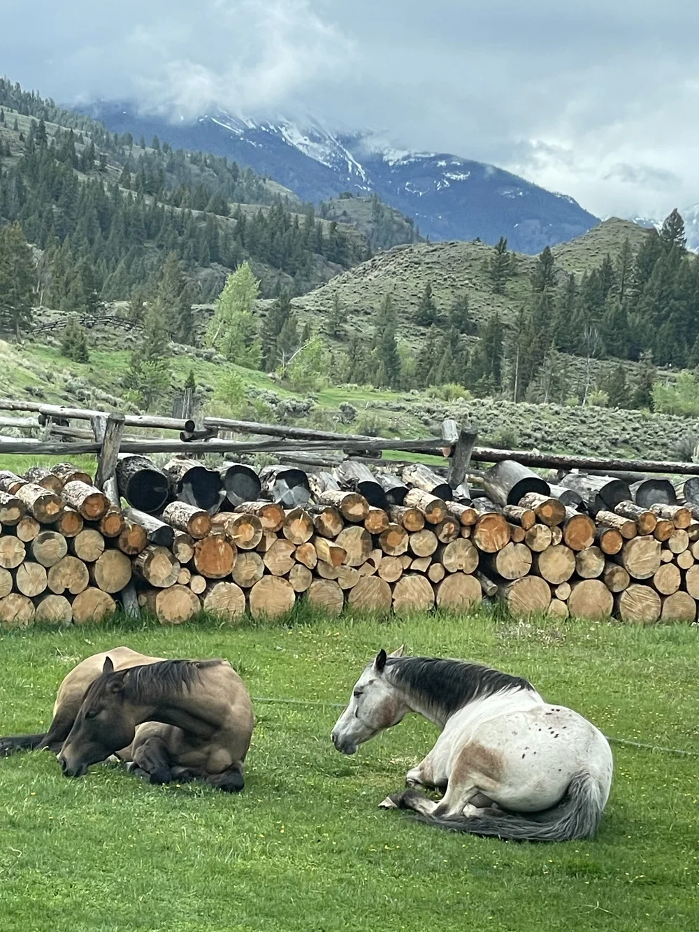 Our Story — Idaho Dream Ranch