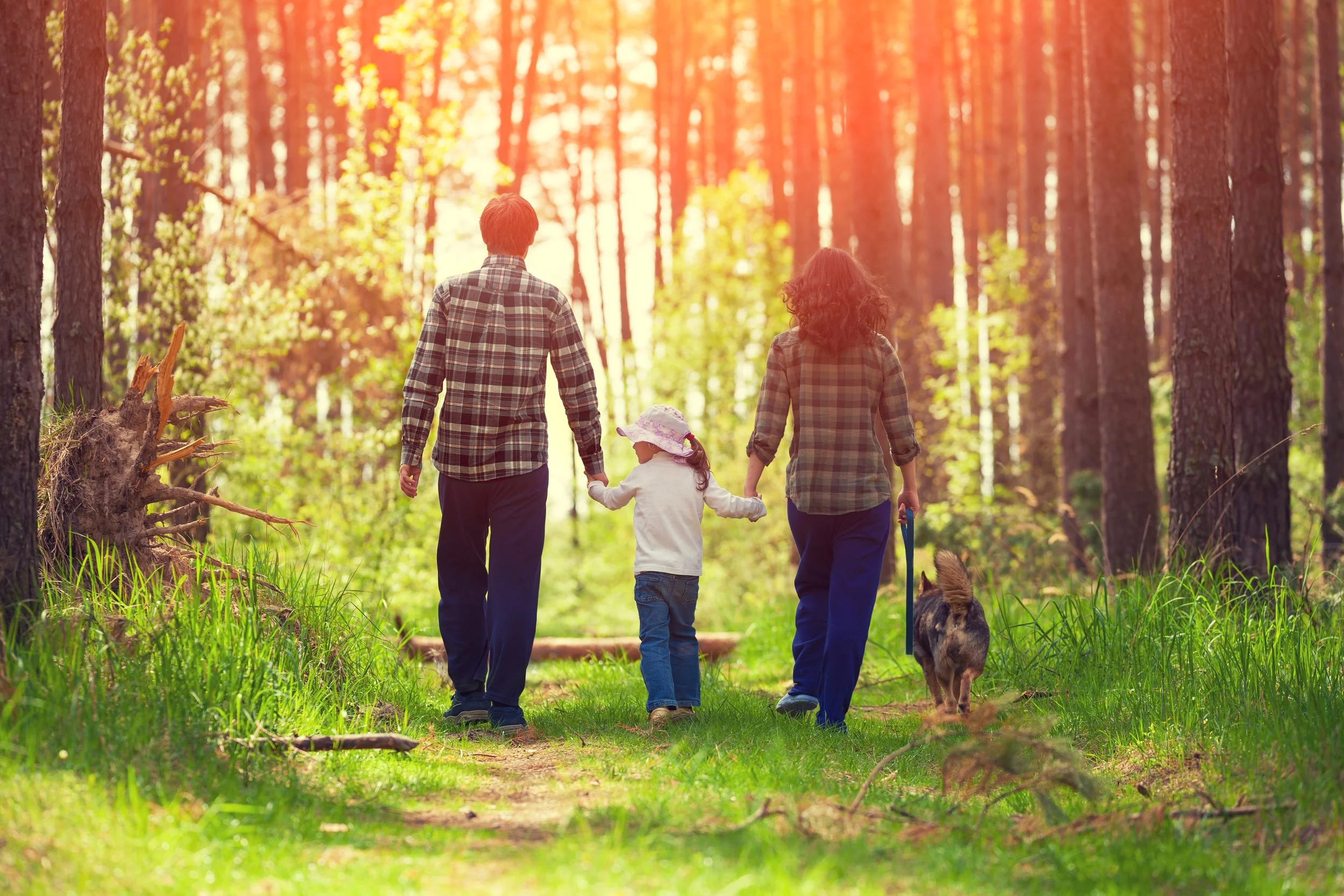 Thrive Behavioral Solutions