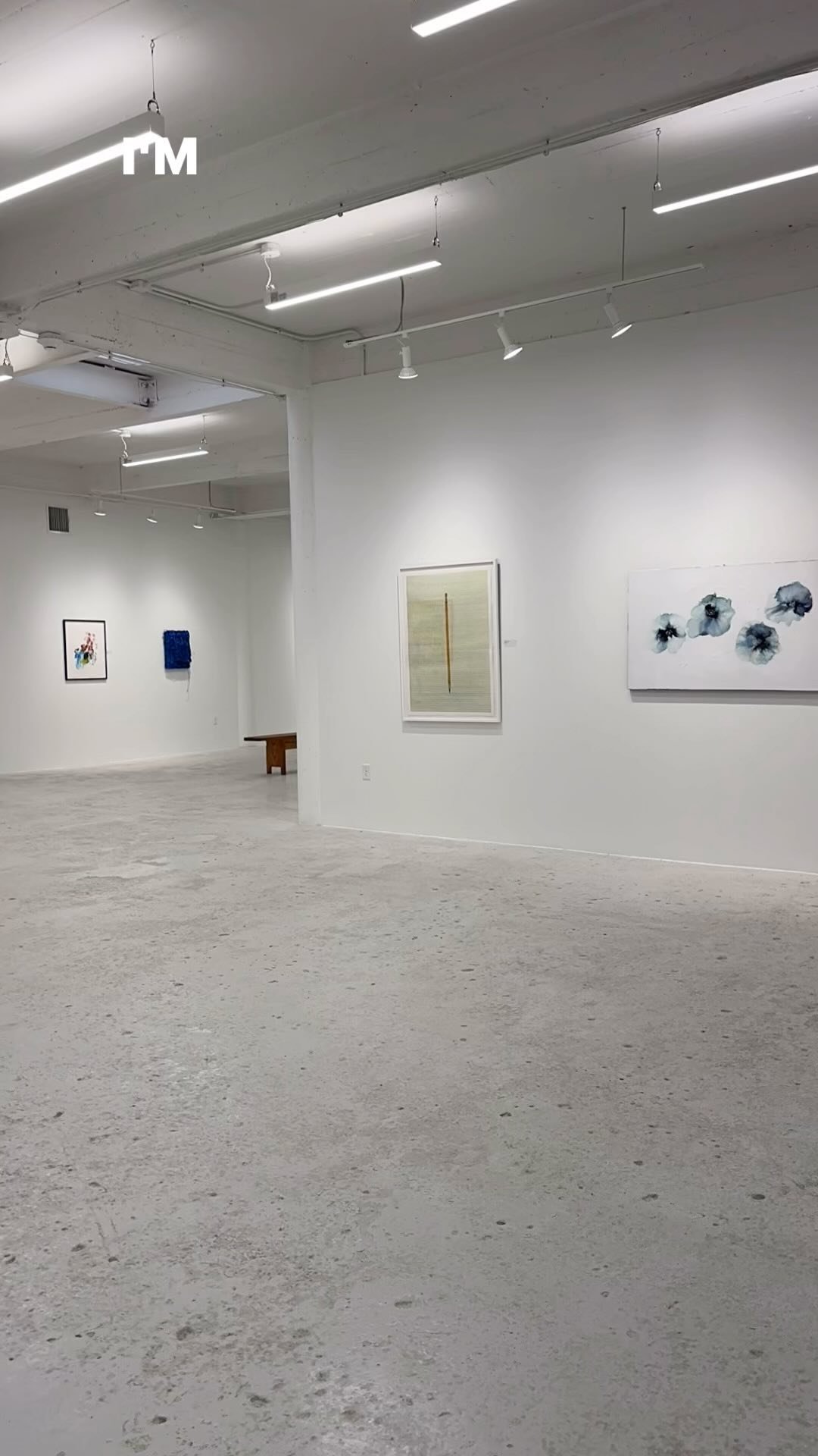 Alisa Weldon - Artist