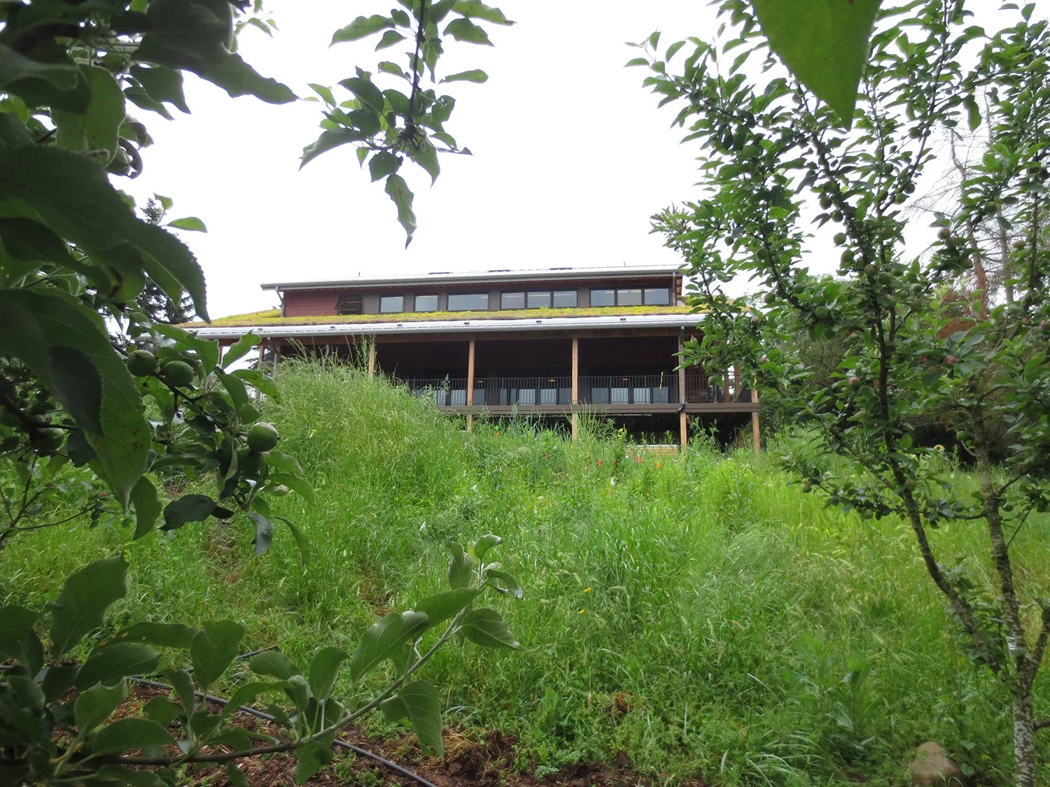 ZENGER FARM URBAN GRANGE — DECA-INC.