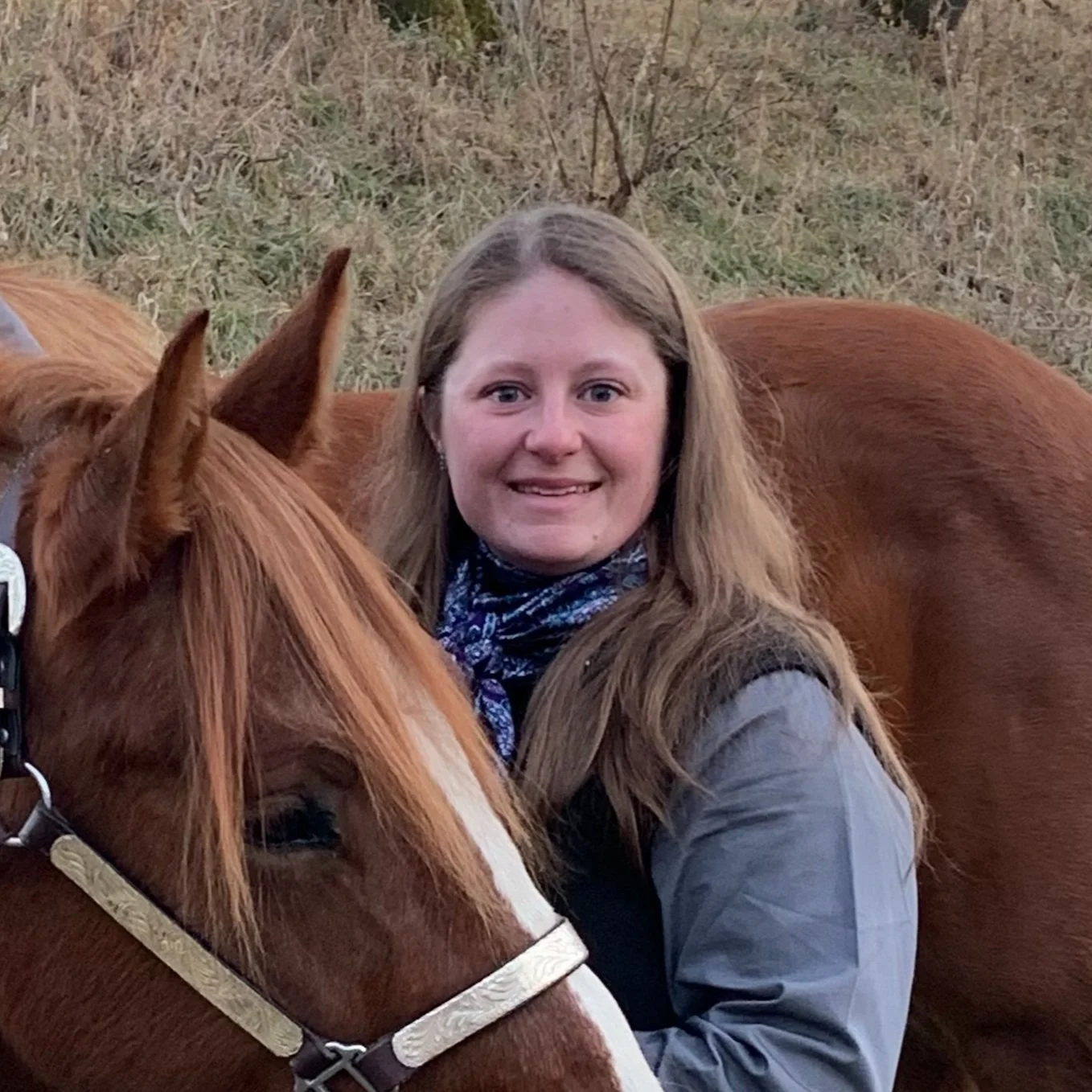 Current Roster — Oneota Valley Community Orchestra (OVCO)