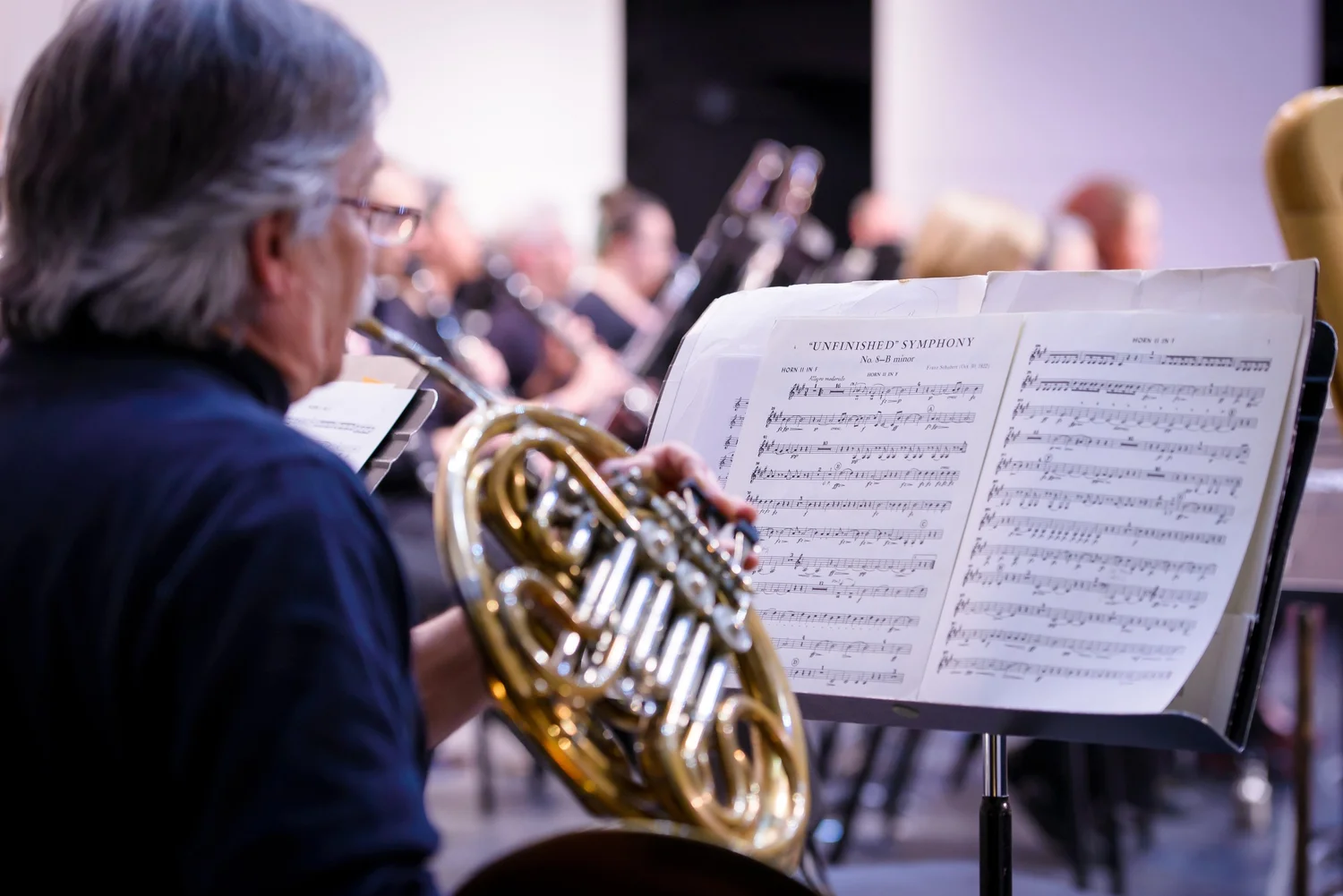 Oneota Valley Community Orchestra (OVCO)