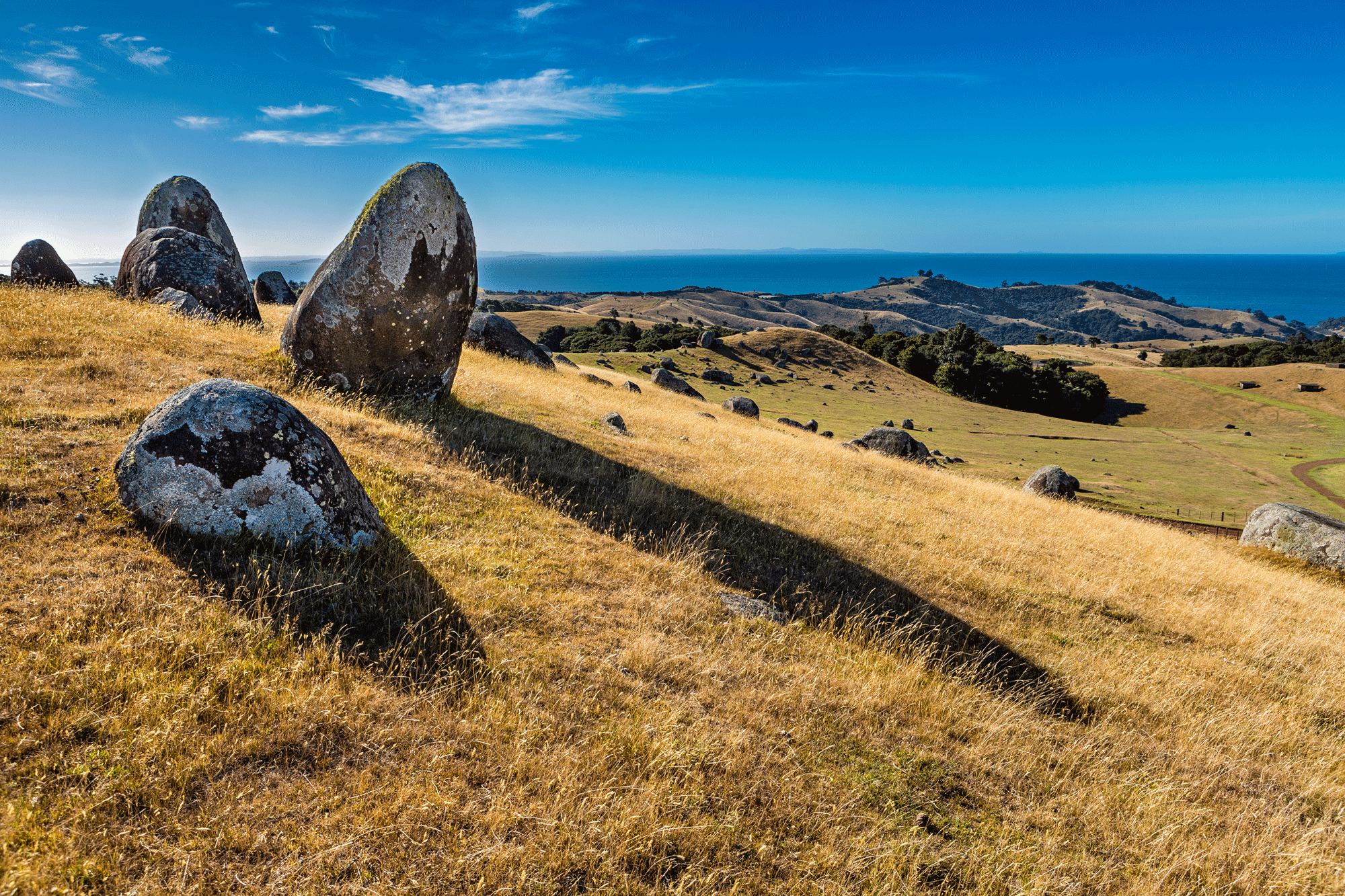 History — Ngāti Pāoa