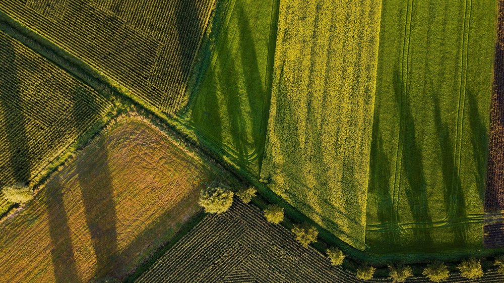 Nui Marketplace International opens a new world of trading ...