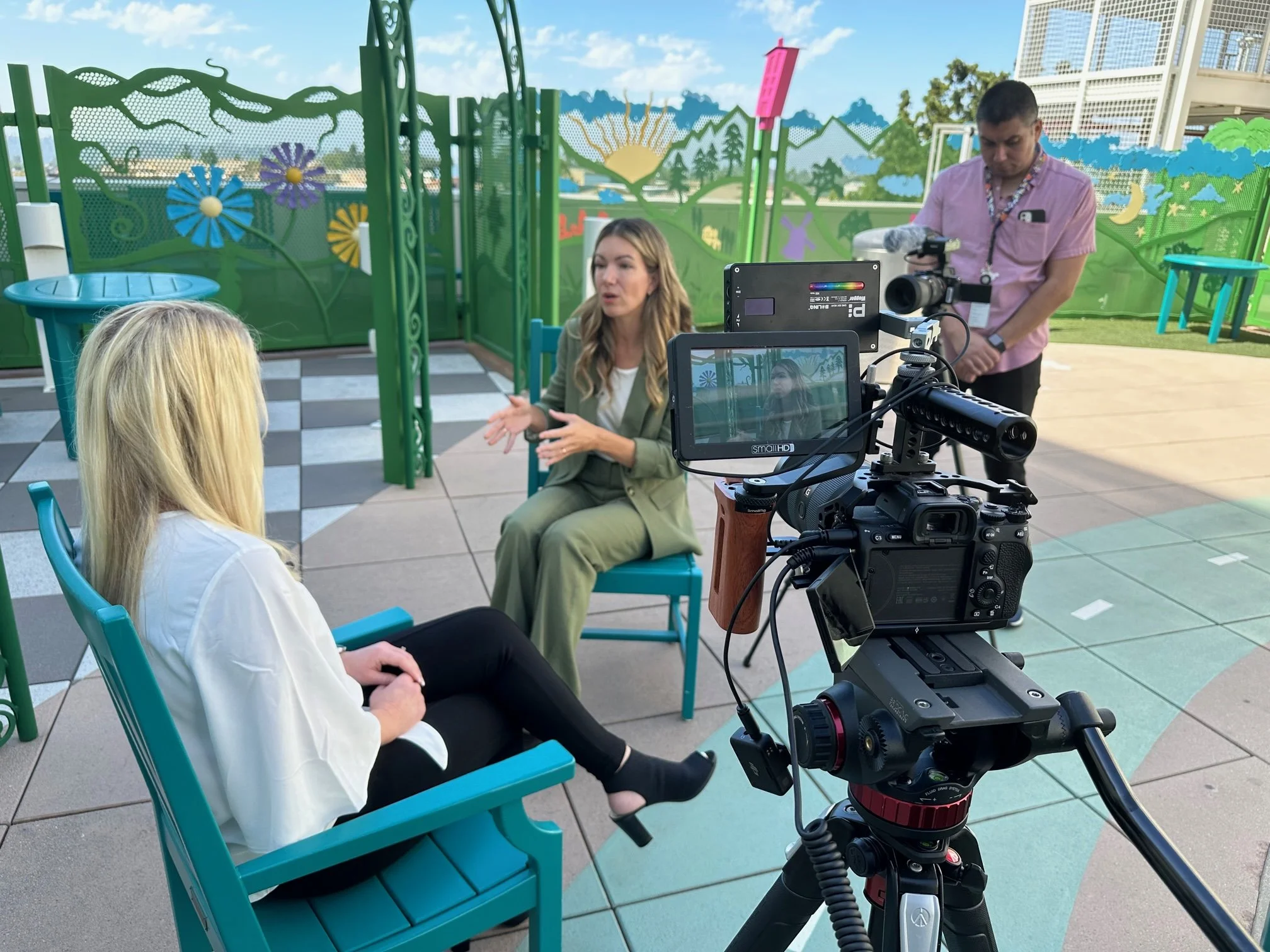 Media and Consulting — Dr. Willough Jenkins