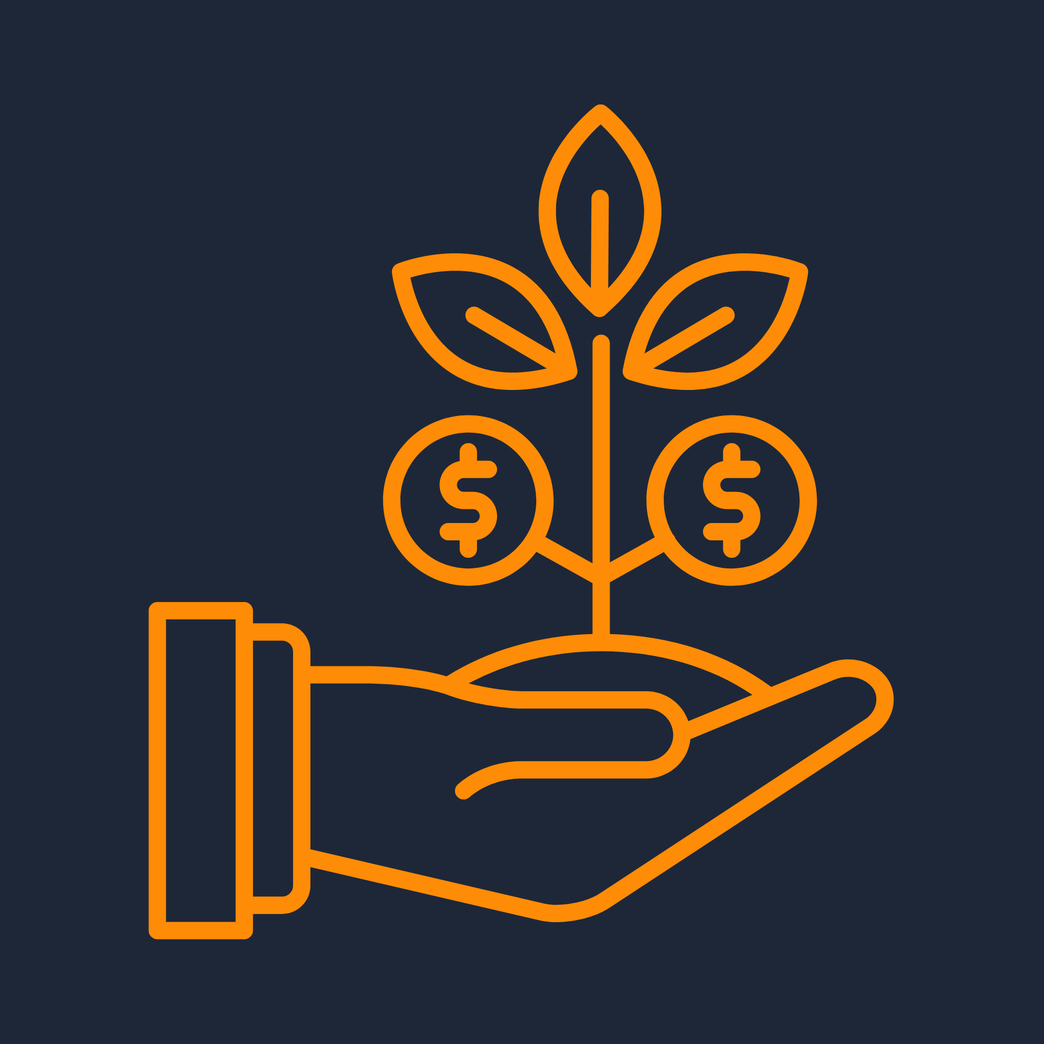 Rainforest Conservation Foundation