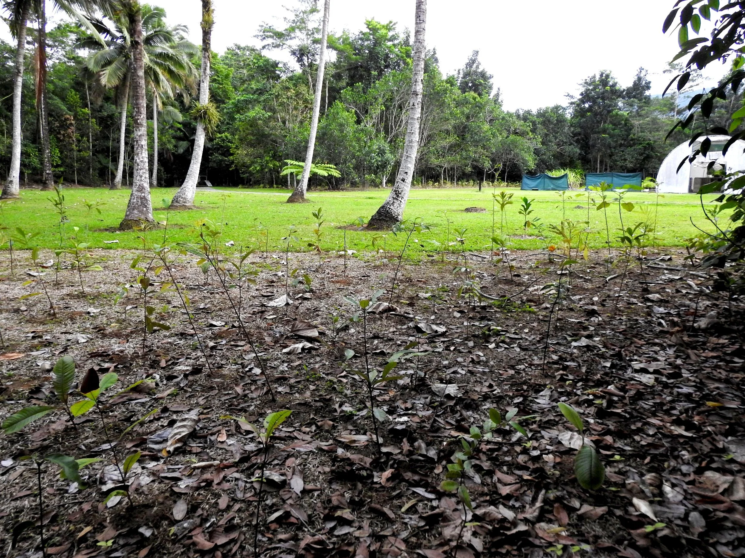 > Volunteer with us — Rainforest Conservation Foundation
