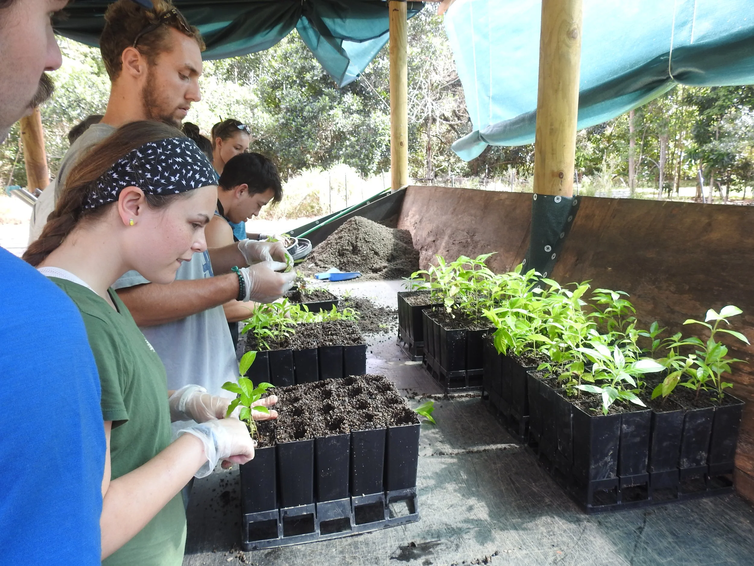 Our Mission — Rainforest Conservation Foundation