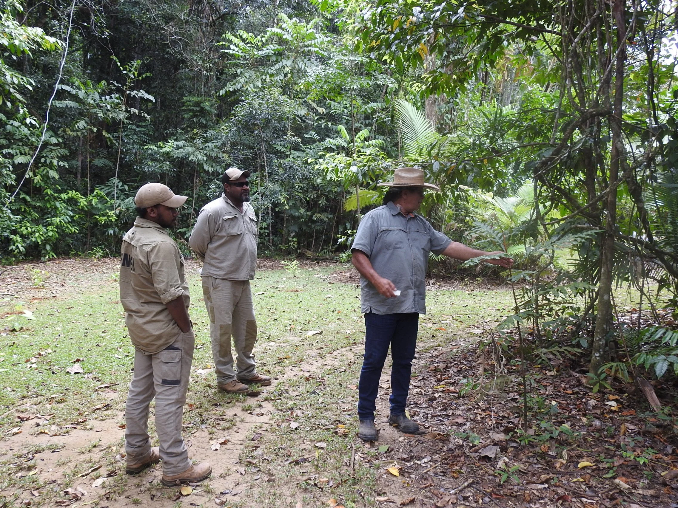 Our Strategy — Rainforest Conservation Foundation
