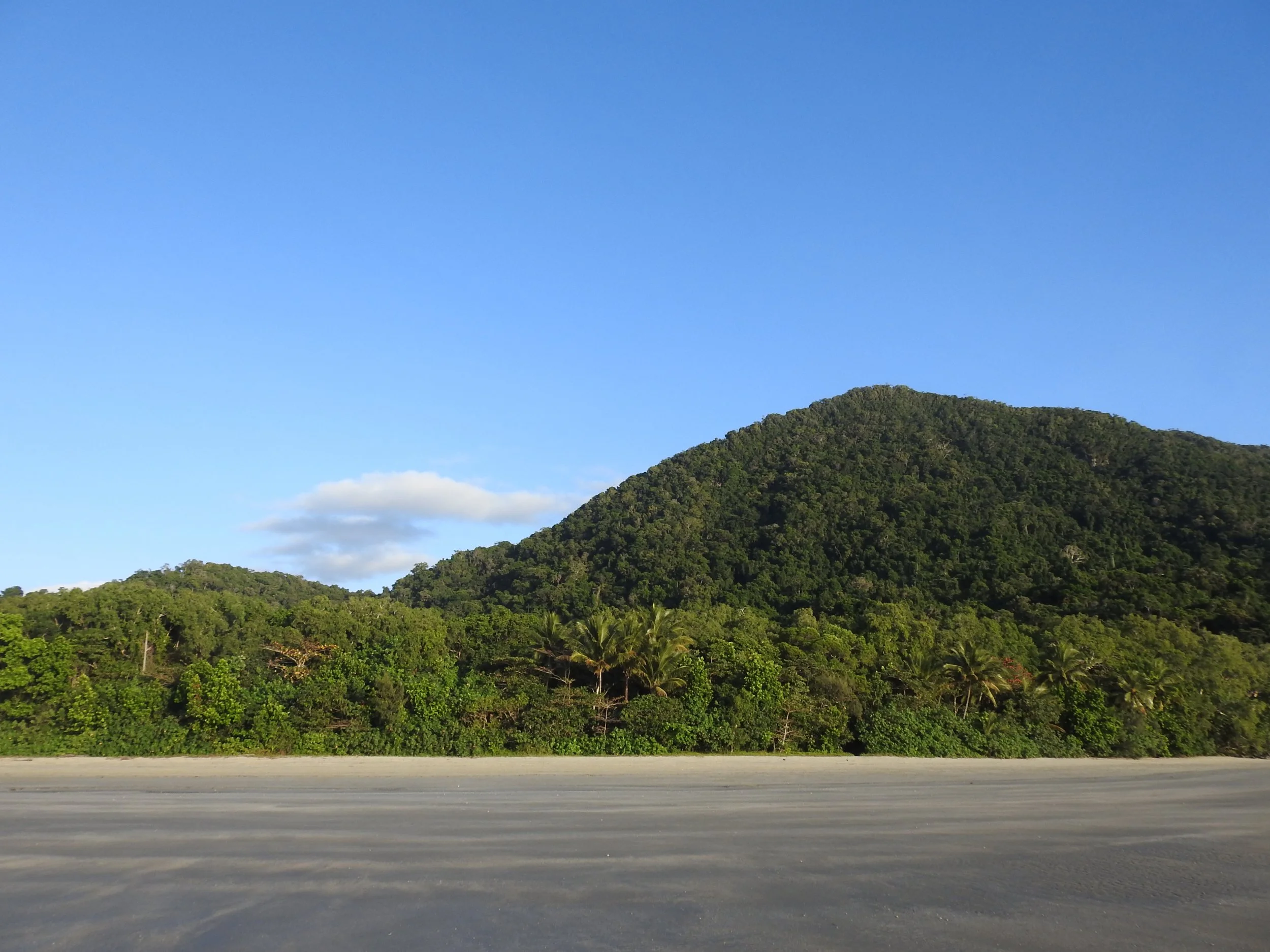 Biodiversity of the Wet Tropics — Rainforest Conservation Foundation