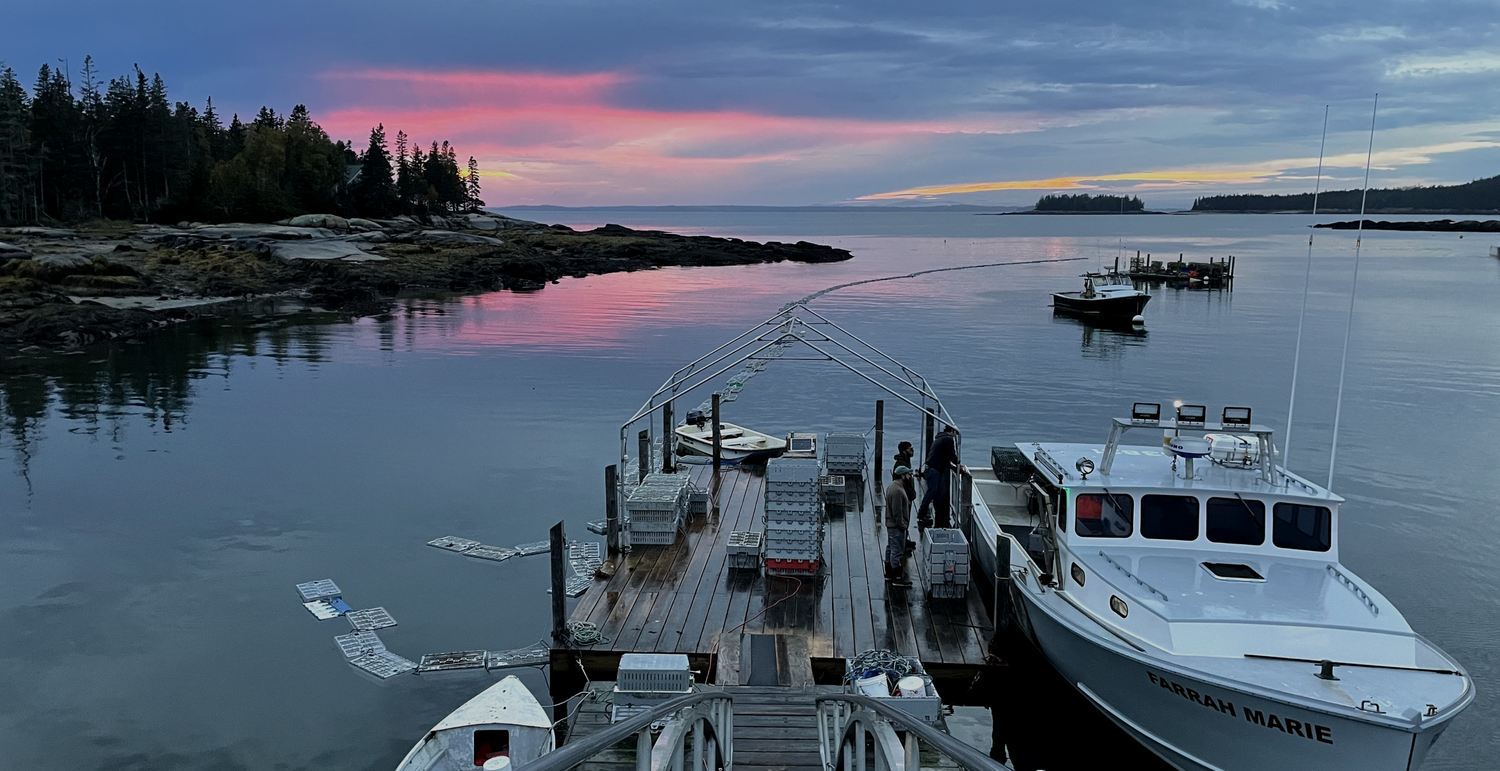 Impact — Blue Ocean Gear